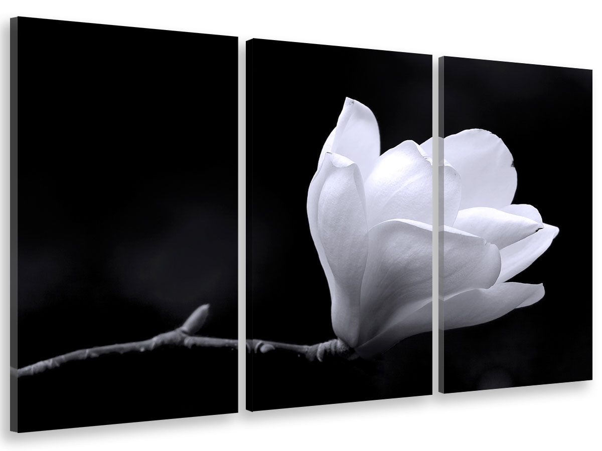 Tableau triptyque deco perfection florale - 90x60 cm | Leroy Merlin