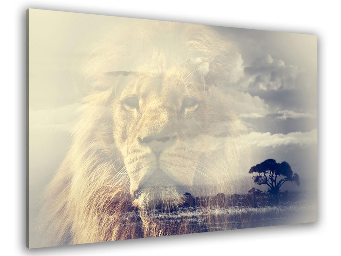 Cuadro animales reflejo del rey león - 80x50 cm | Leroy Merlin