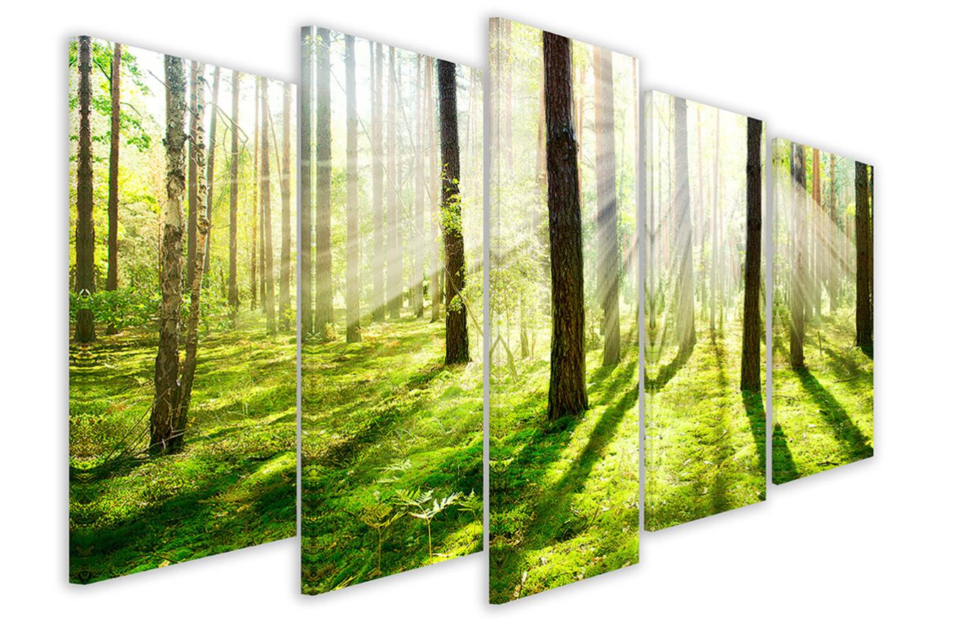 Tableau 5 parties Tableau photo sous bois de jacinthes - 150x80 cm ...