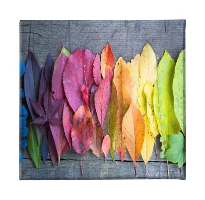 Tableau Nature Multicouleur - 60 X 3 X 60 Cm - Homemania | Leroy Merlin