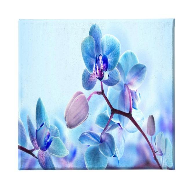 Tableau Fleurs Multicouleur - 60 X 3 X 60 Cm - Homemania | Leroy Merlin