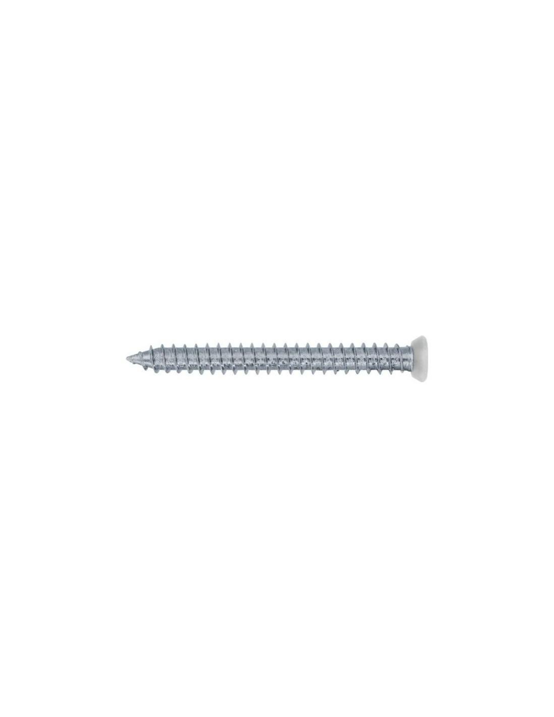 Vis auto taraudeuse who tf torx blanche 202 mm boite de 100 | Leroy Merlin