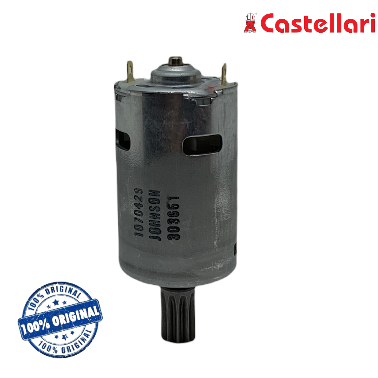 MOTORINO ELETTRICO PER ABBACCHIATORI | Leroy Merlin