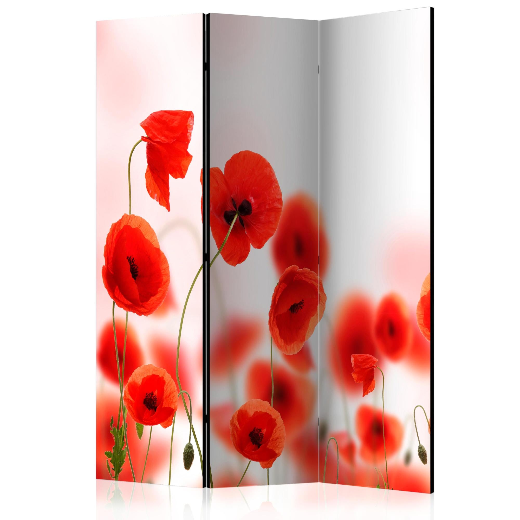 Paravento - Sleepy Poppy's Land [room Dividers] - 135x172 | Leroy Merlin