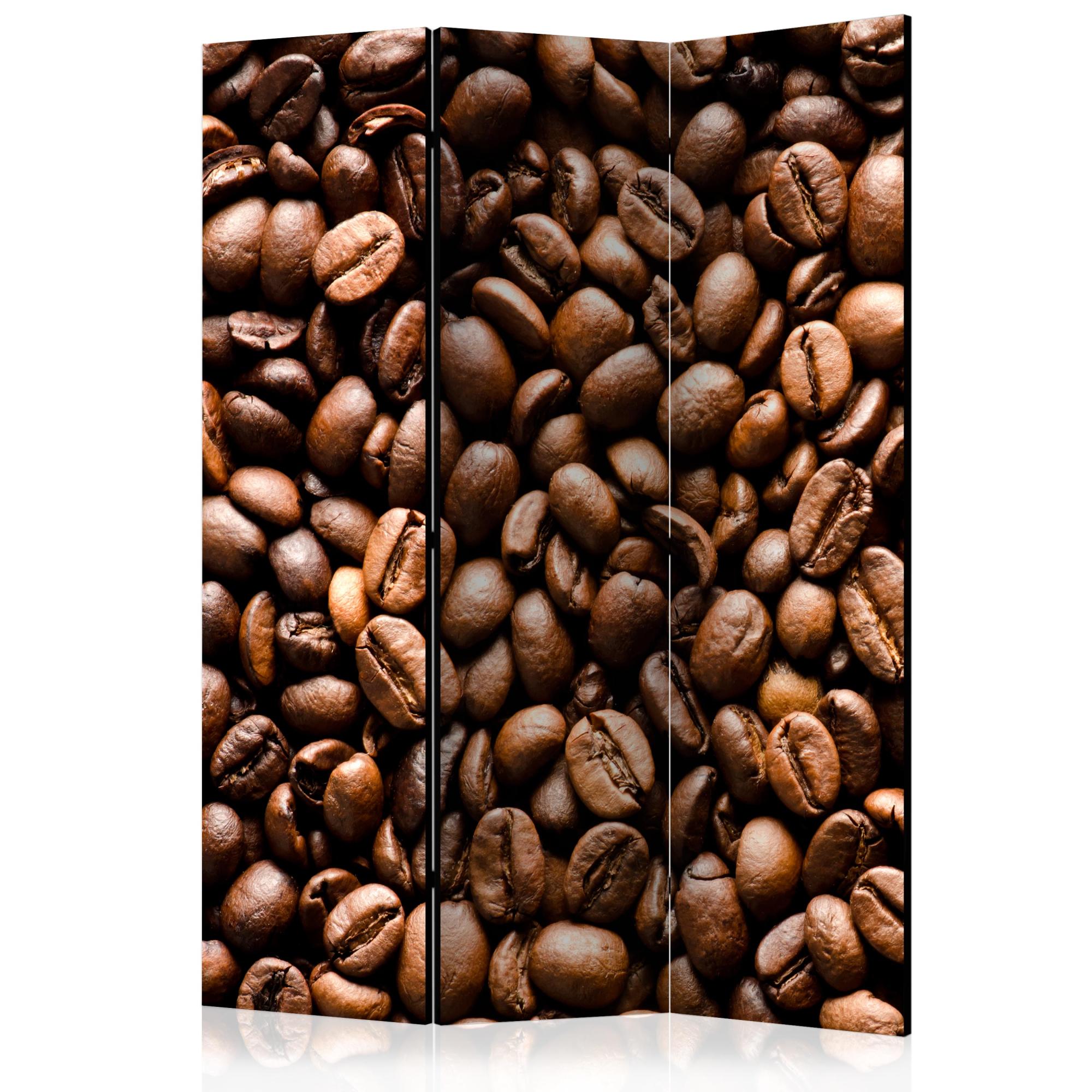 Paravento - Roasted Coffee Beans [room Dividers] - 135x172 | Leroy Merlin