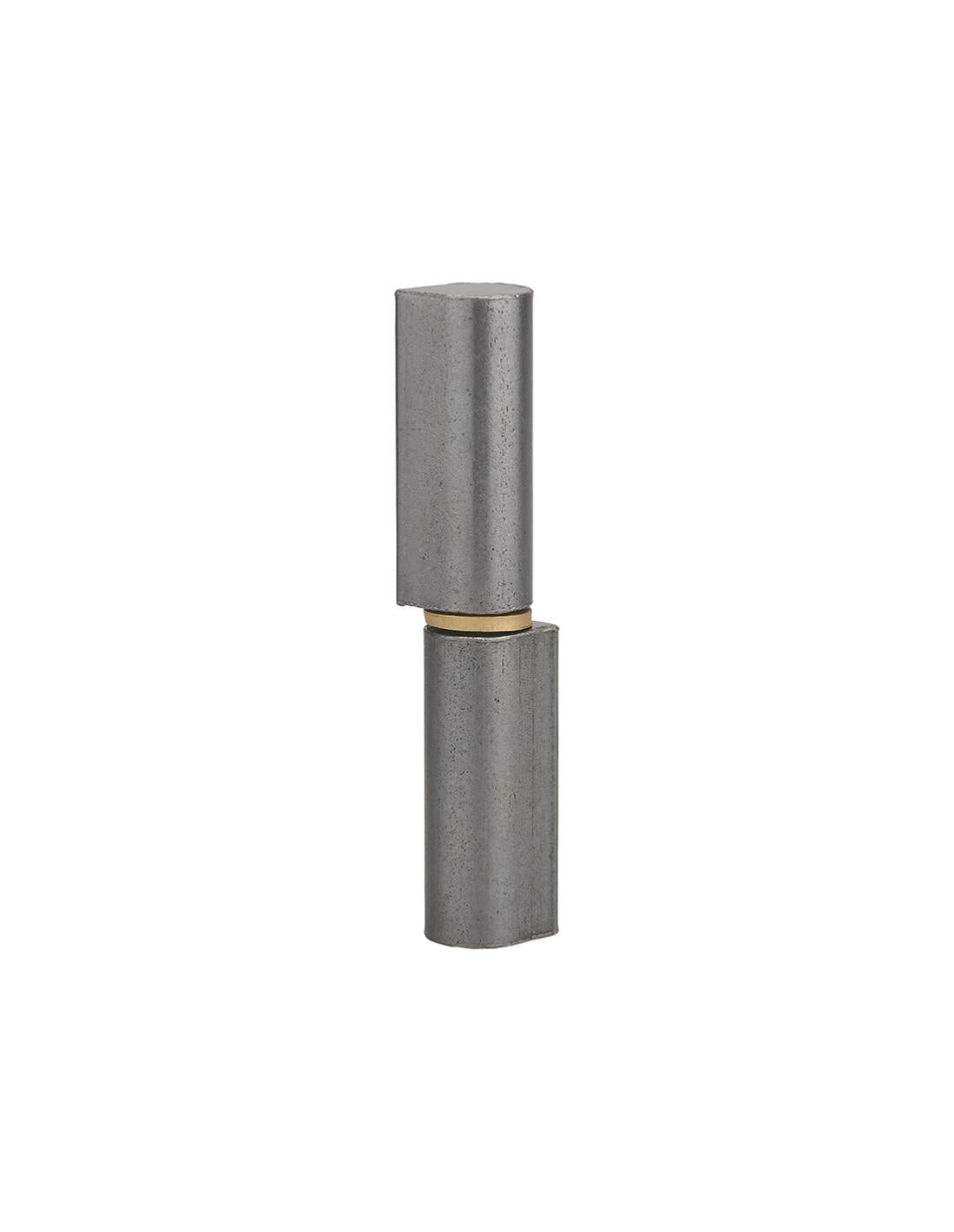 THIRARD - Paumelle de porte d'entrée / d'intérieur à souder, inox ...