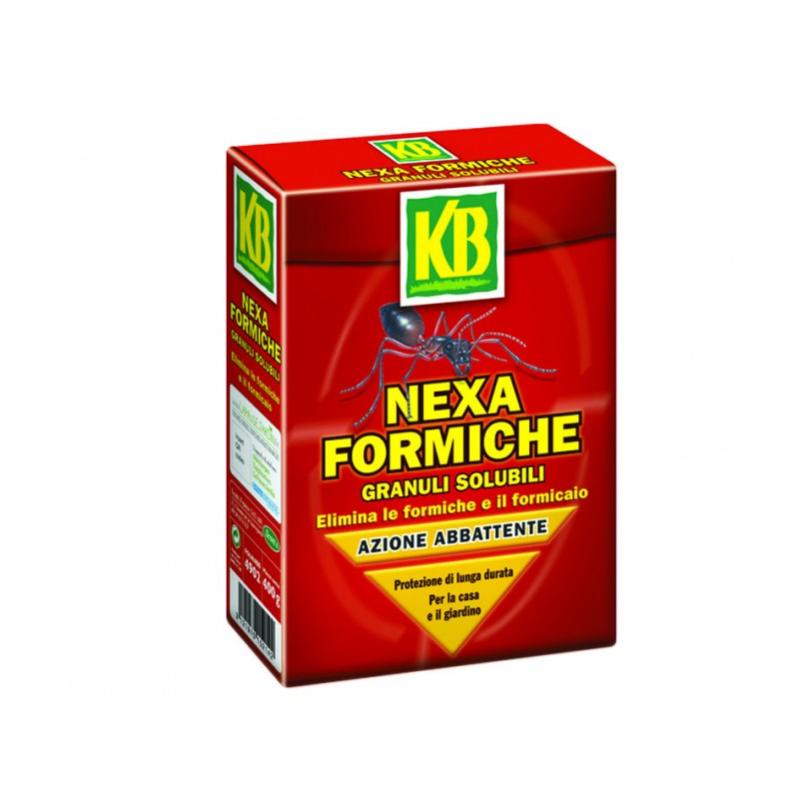 Insetticida in granuli solubili per formiche nexa | Leroy Merlin