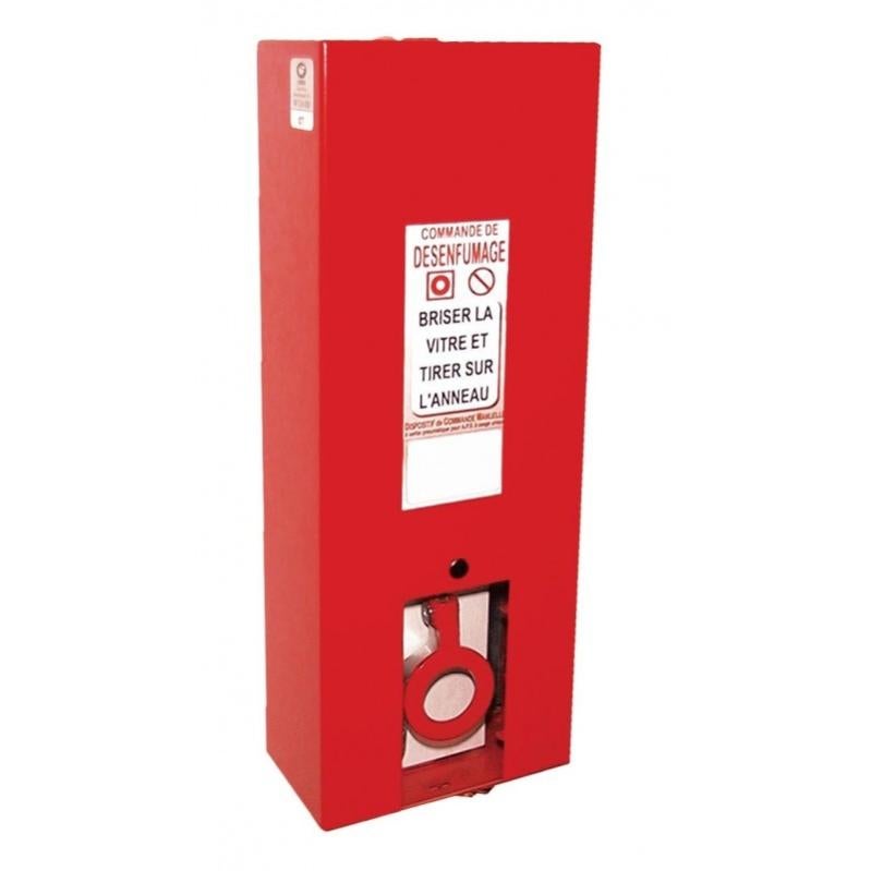 Coffret CO2 (DCM) Cordia Incendie | Leroy Merlin