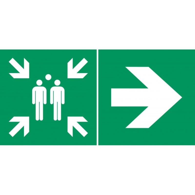 Panneau Point de Rassemblement à Droite Cordia Incendie | Leroy Merlin