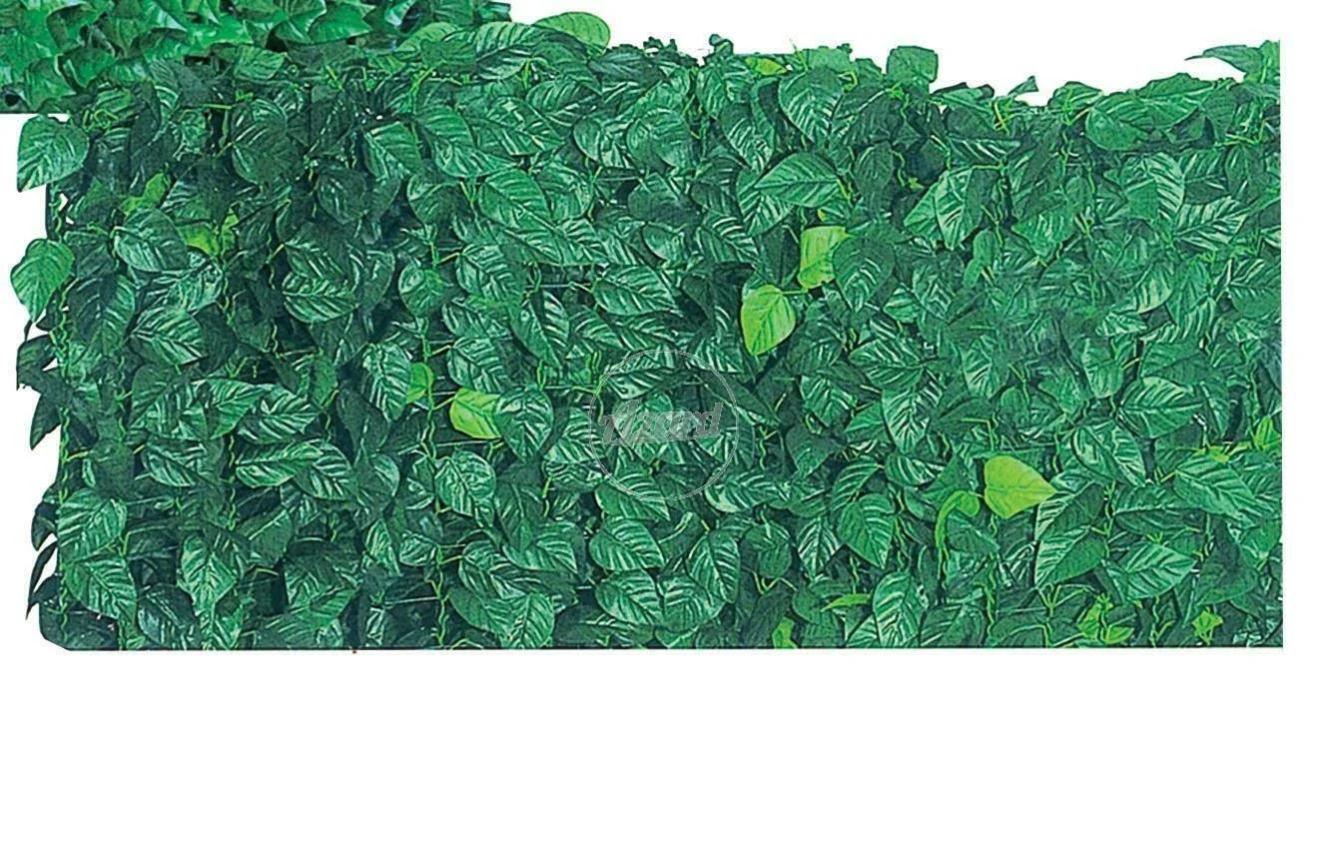 Arelle Sempreverdi Lauro Mt. 1,00x3,00 Arredamento Per Esterni ...