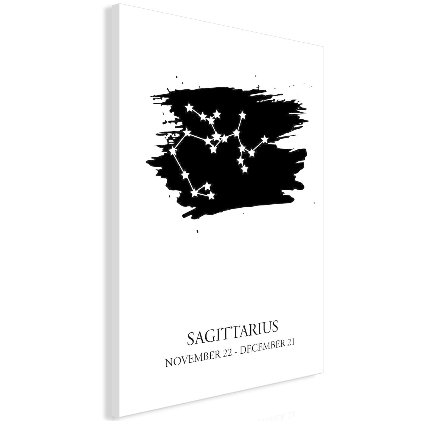 Tableau signes du zodiaque sagittaire vertical - 60 x 90 cm | Leroy Merlin