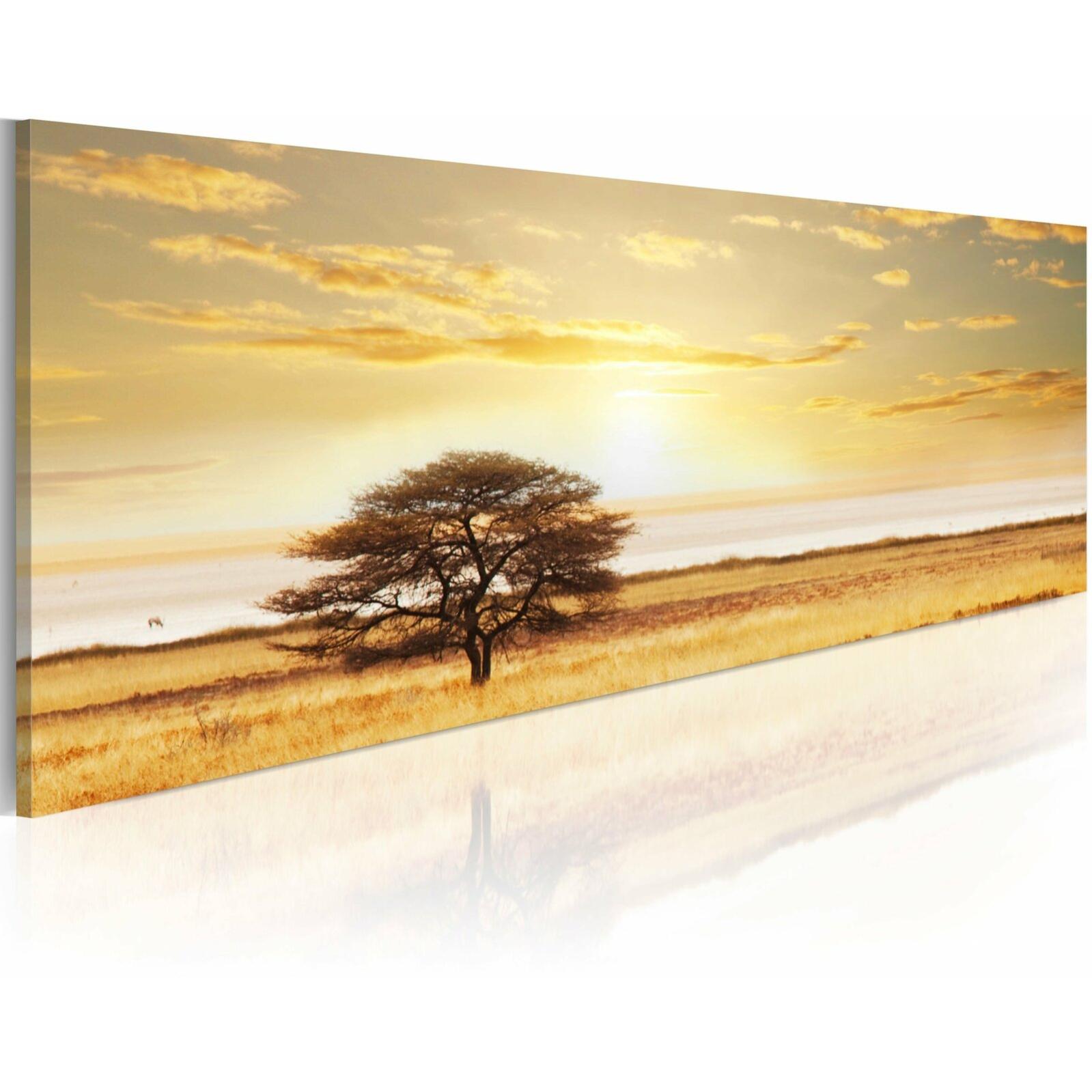 Tableau arbre solitaire sur la savane - 135 x 45 cm | Leroy Merlin