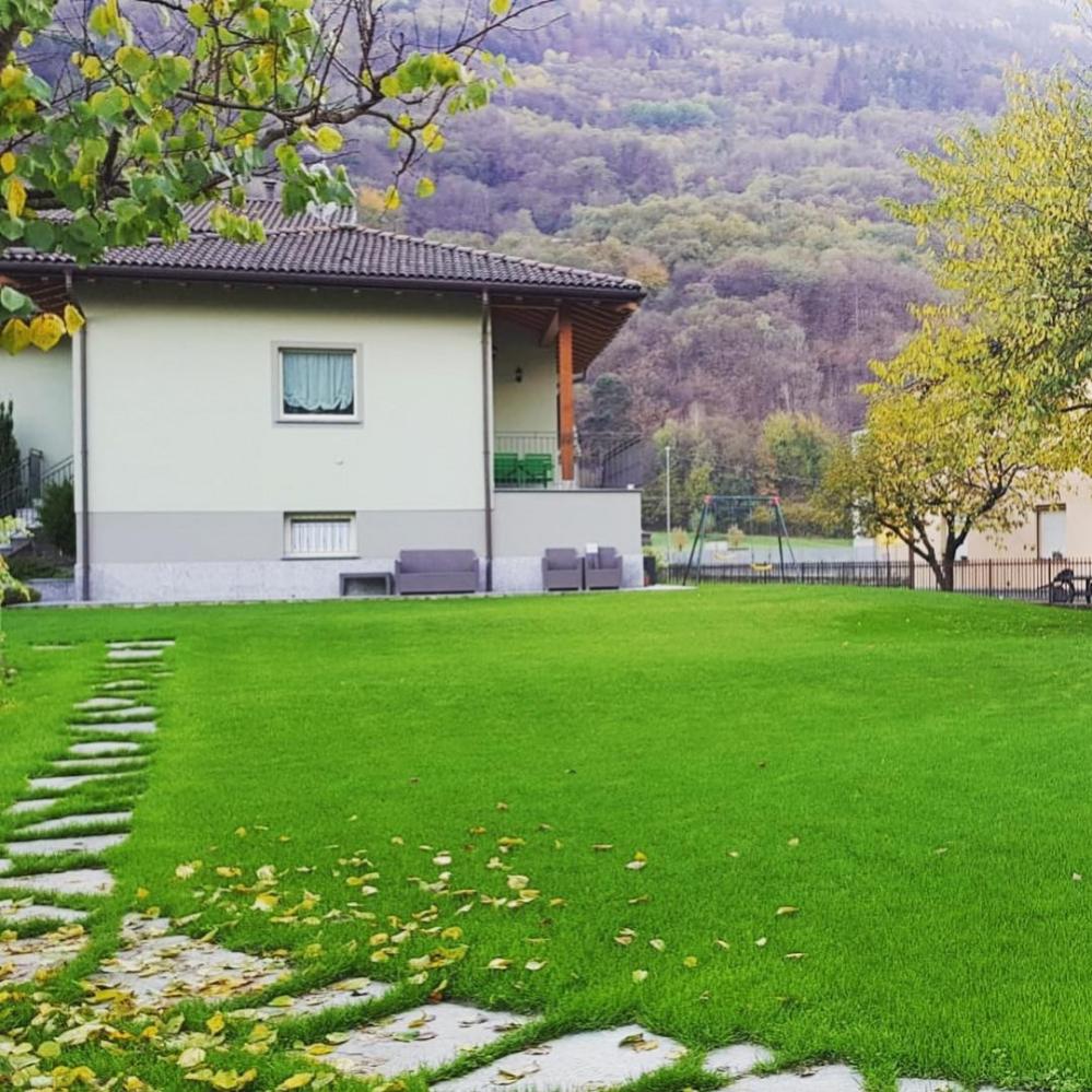 Zollaverde maciste 5kg semente semenza erba dose per 100mq | Leroy Merlin