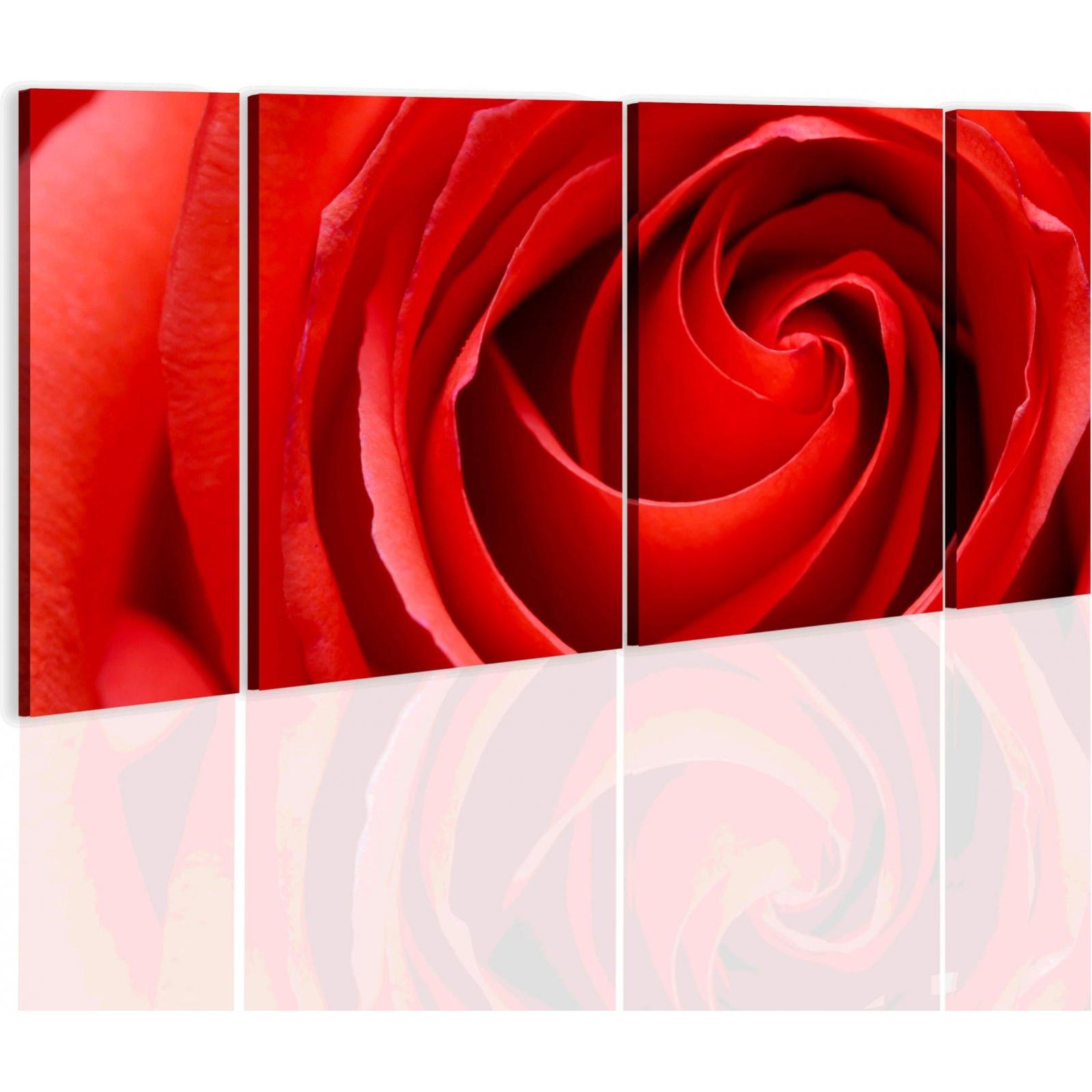 Tableau rose passionnée - 60 x 30 cm | Leroy Merlin