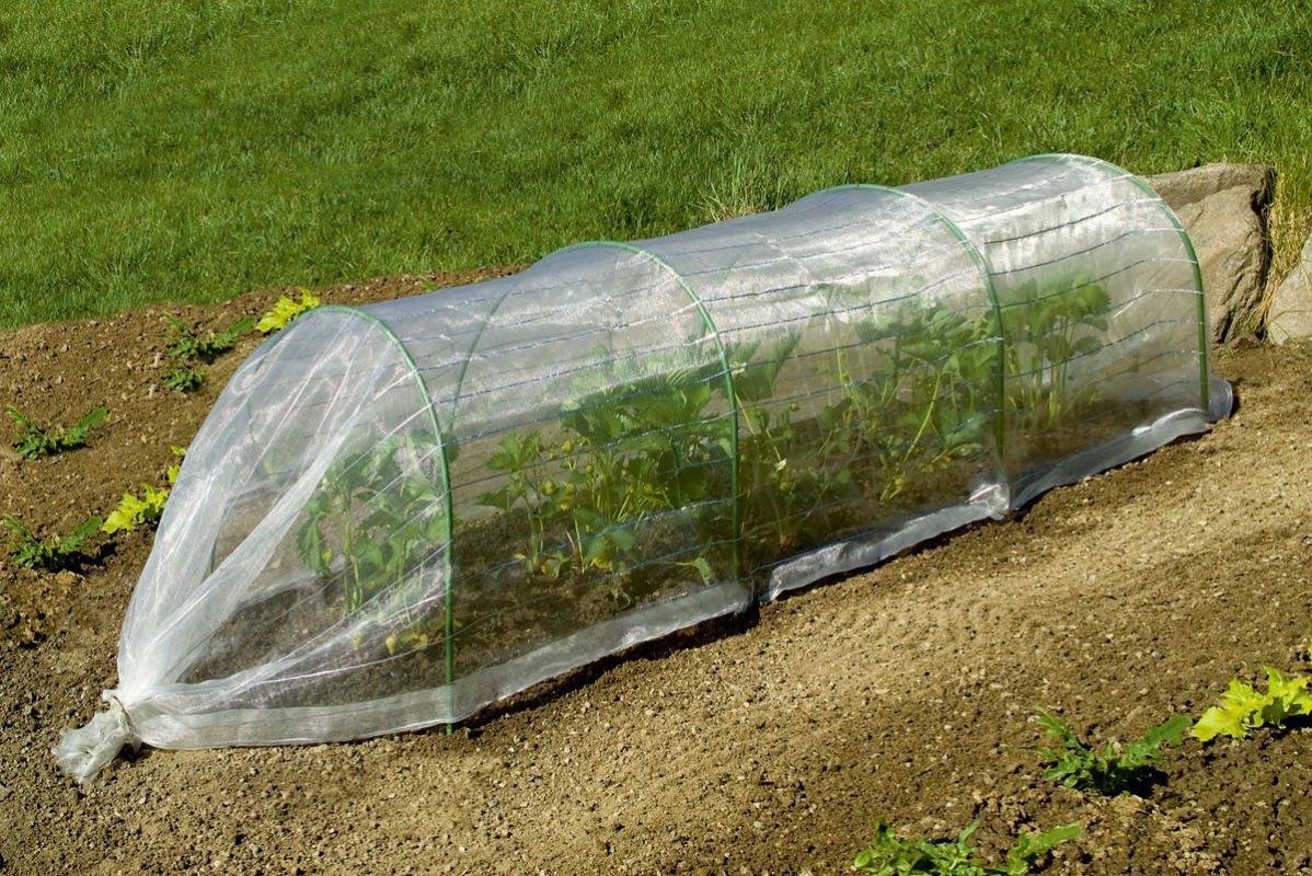 PROTECT - INSECT TUNNEL | Leroy Merlin