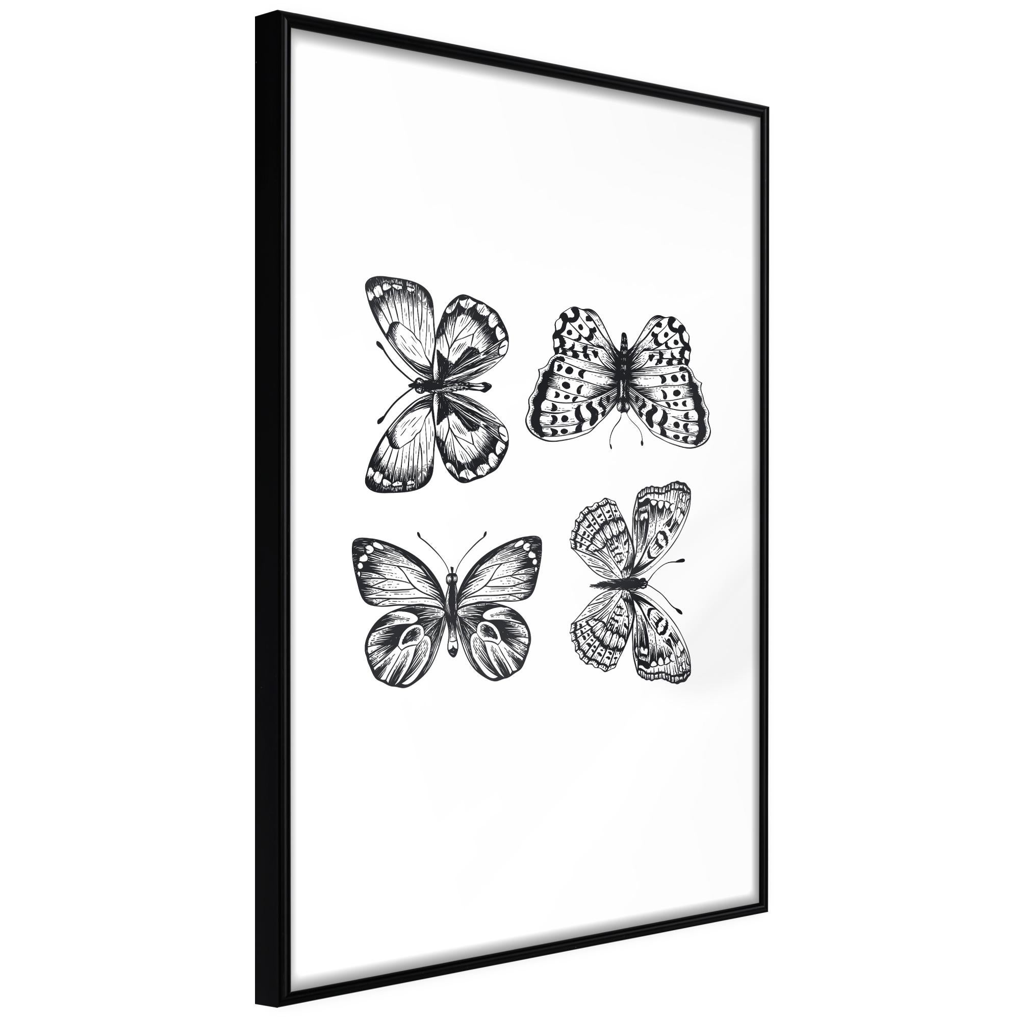 Poster - Butterfly Collection III 30x45 cm | Leroy Merlin