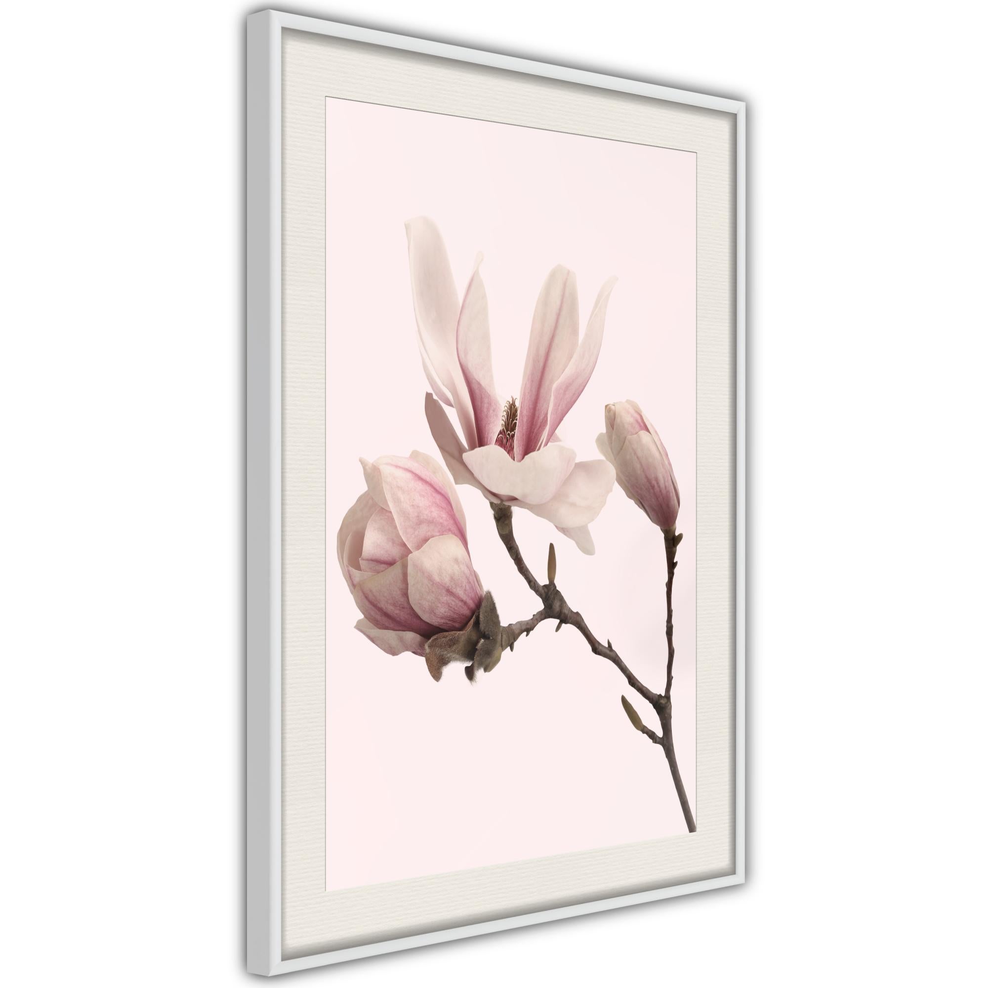 Poster - Blooming Magnolias II 20x30 cm | Leroy Merlin