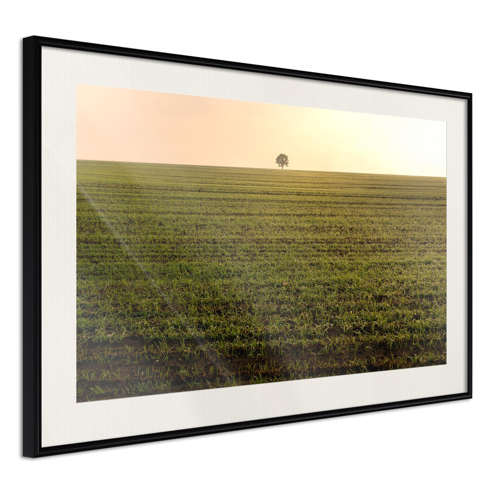 Poster - Farmland 90x60 cm | Leroy Merlin