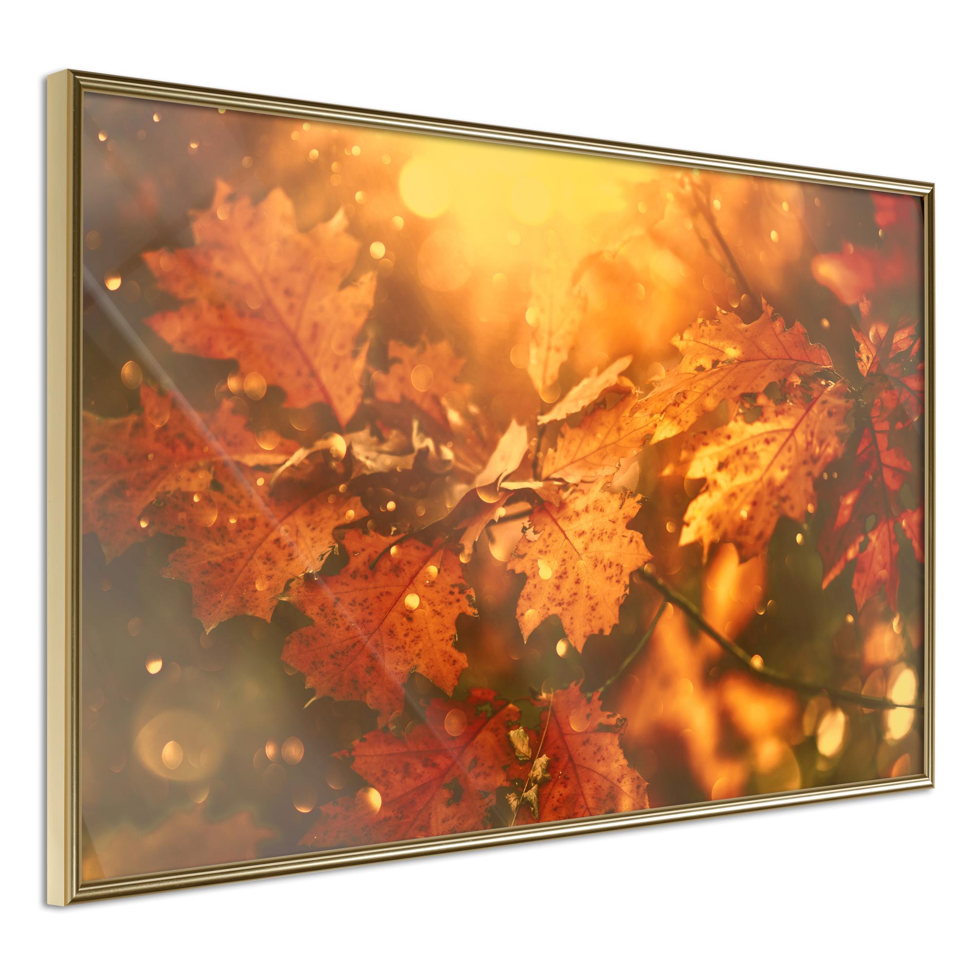 Poster - Golden Autumn 90x60 cm | Leroy Merlin