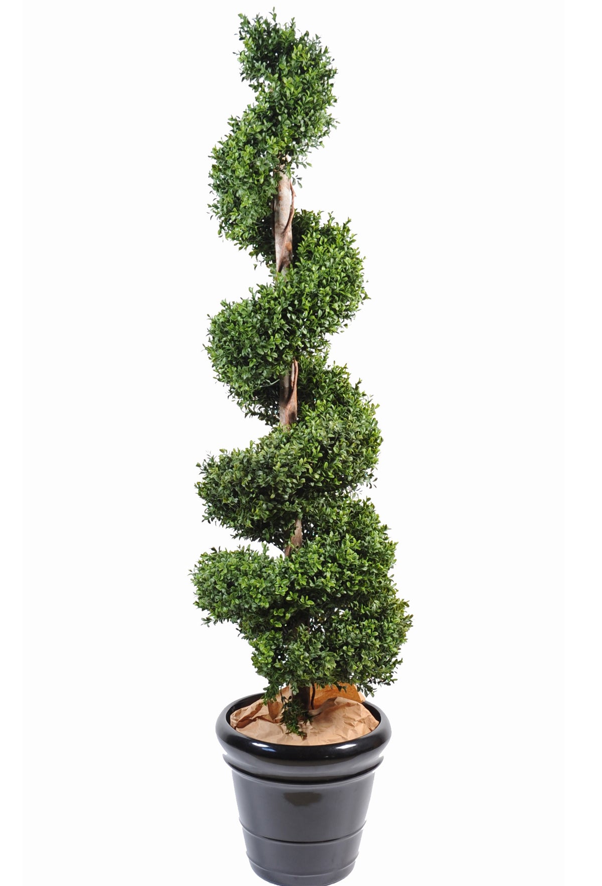 Plante Artificielle Haute Gamme Spécial Extérieur / Buis Spirale ... Plante Artificielle Haute Gamme Spécial Extérieur / Buis Spirale ...