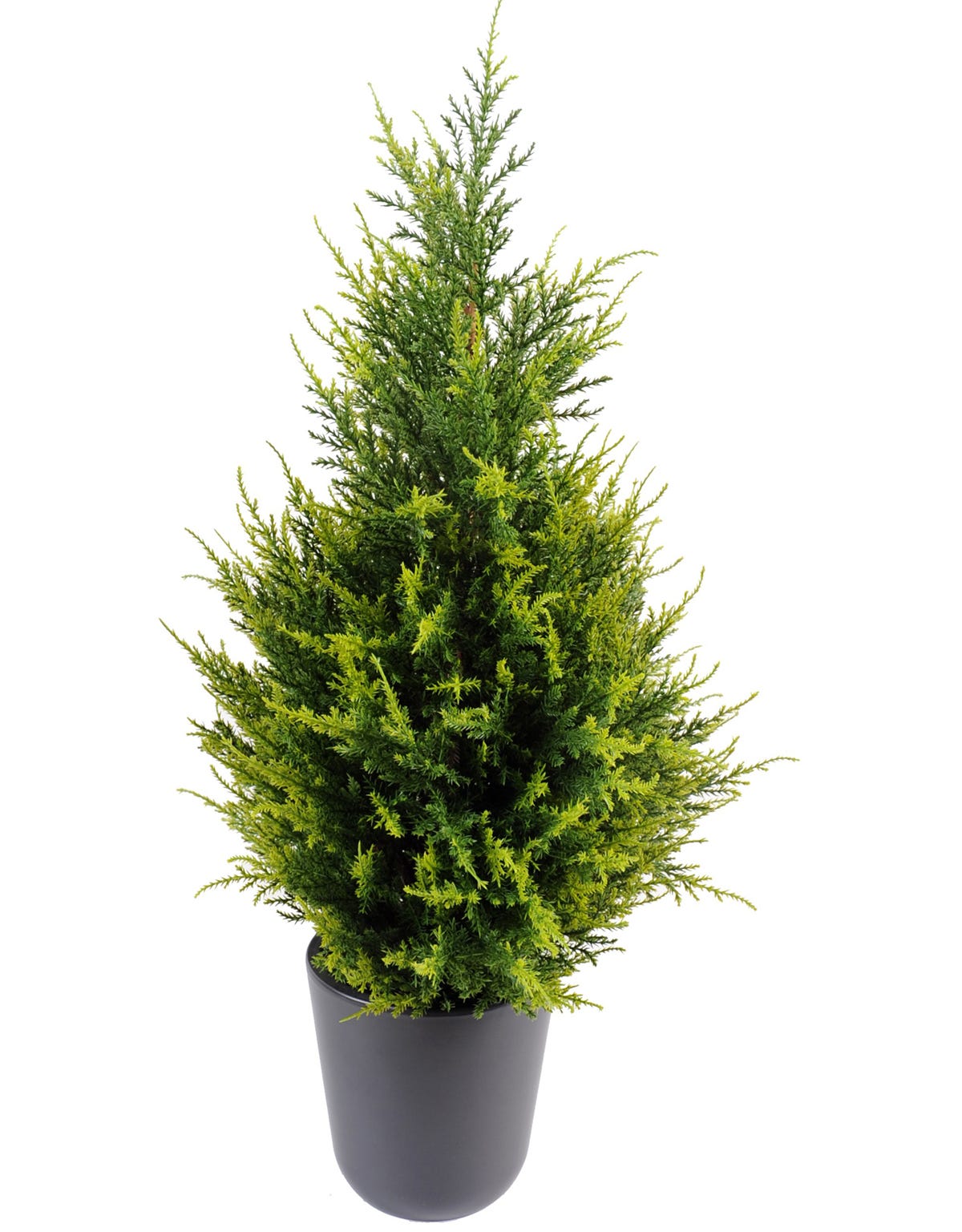 Plante Artificielle Haute Gamme Spécial Extérieur / Cypres Juniperus ... Plante Artificielle Haute Gamme Spécial Extérieur / Cypres Juniperus ...