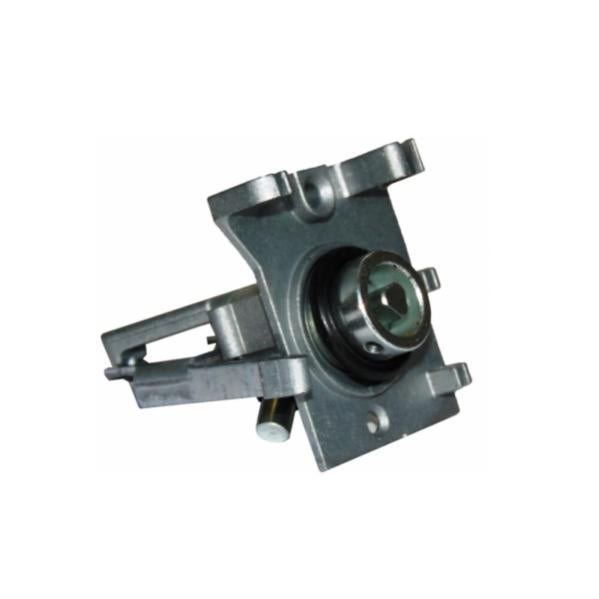 Cilindro Serratura - Per Motore ATI A3000 A5000 Ricambio CAME 119RID106 ...