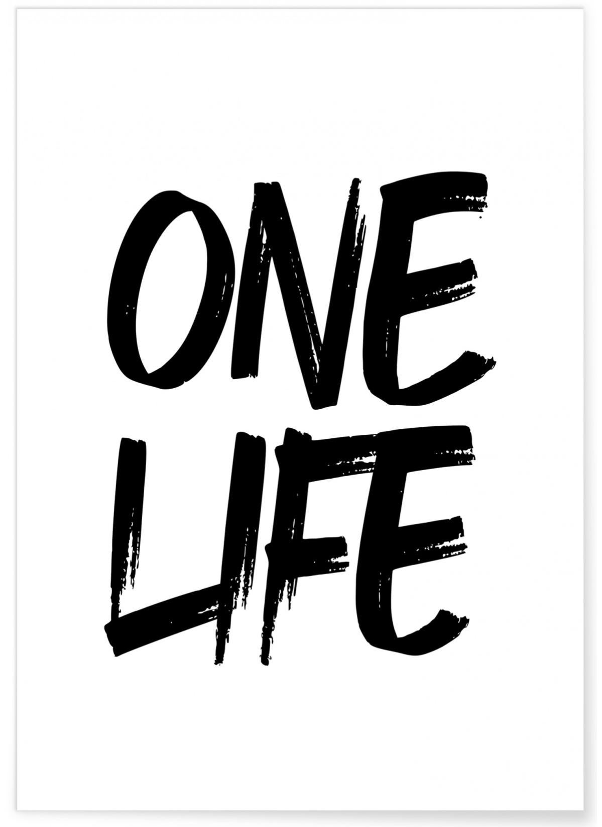 Affiche 'One Life' - Format A3 - | Leroy Merlin