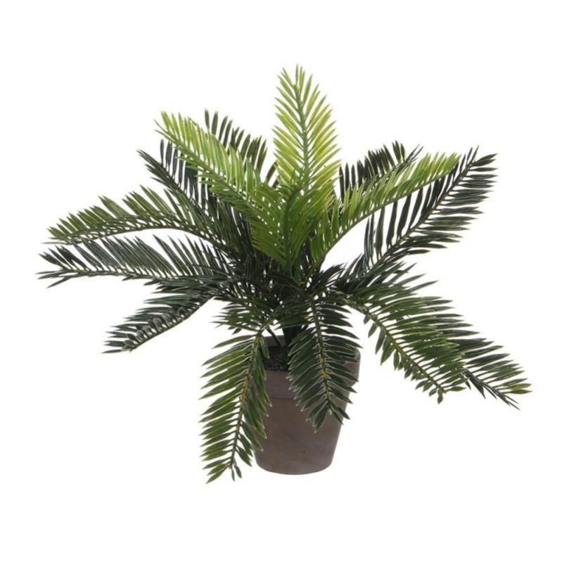 Palma Sago (cyca revoluta) in pvc con vaso grigio 33x11,5 cm | Leroy Merlin
