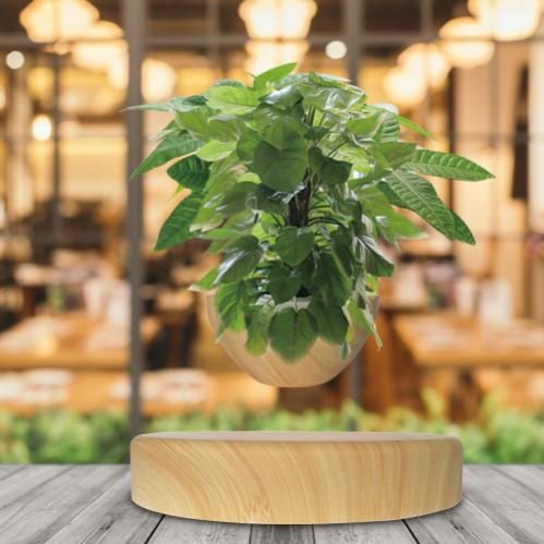 Mini-jardin en lévitation base bois clair BABYLONIA | Leroy Merlin