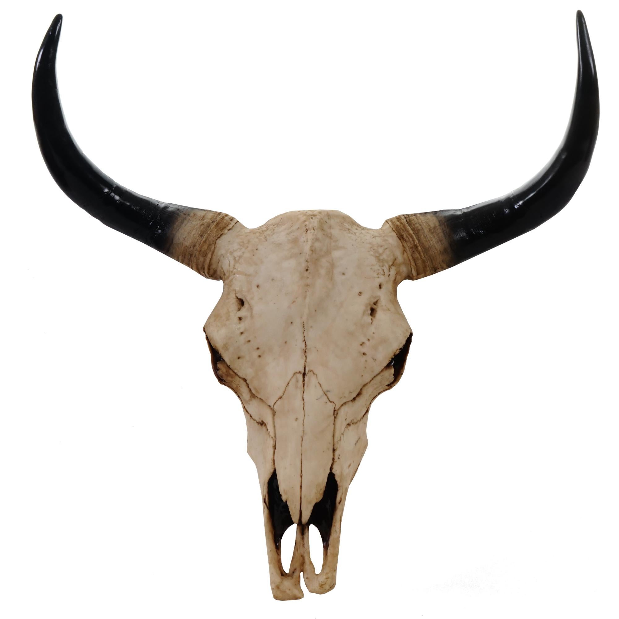 Decorazione trofeo teschio artificiale realistico da parete toro ...