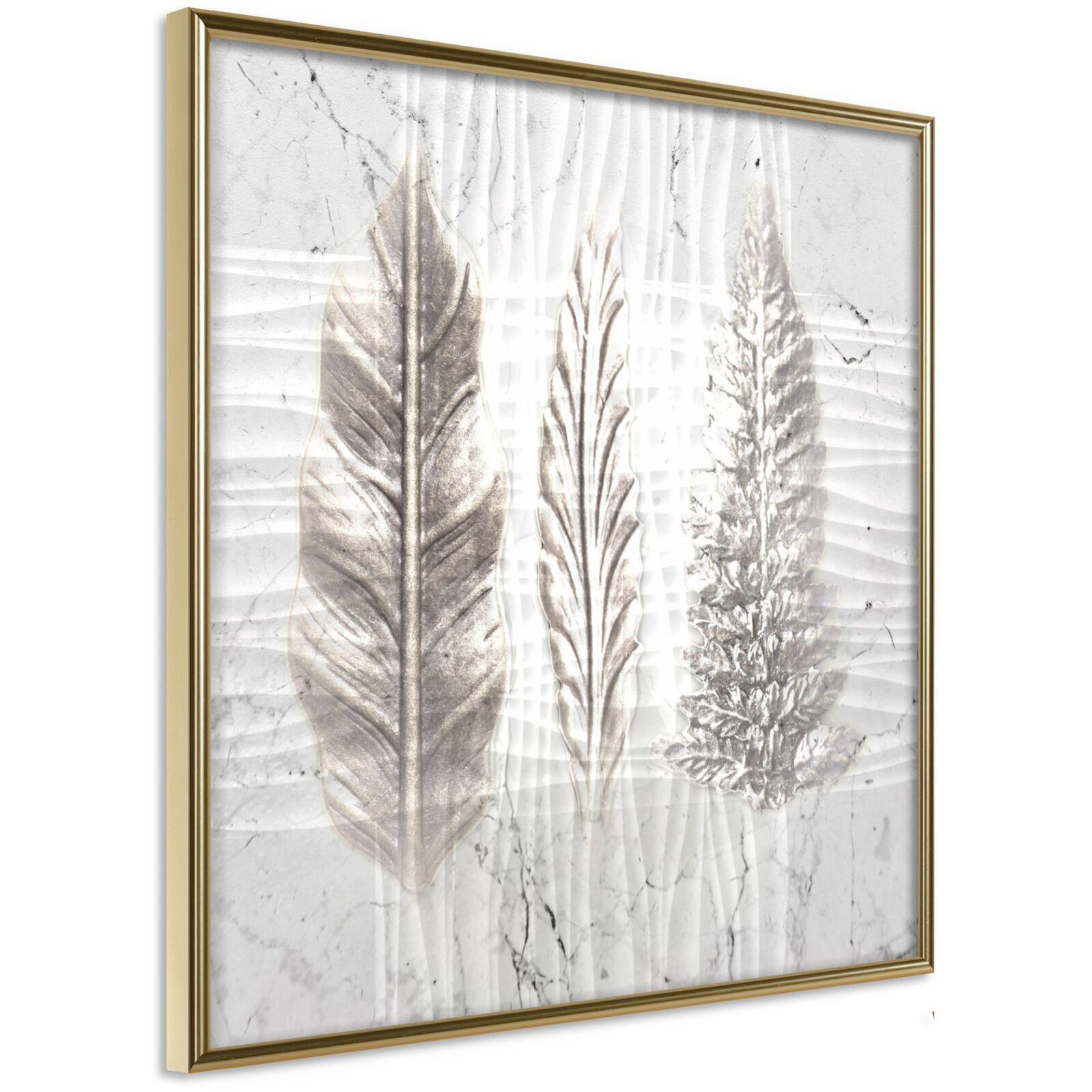 Tableau cadre Trois espèces - 20 x 20 cm | Leroy Merlin