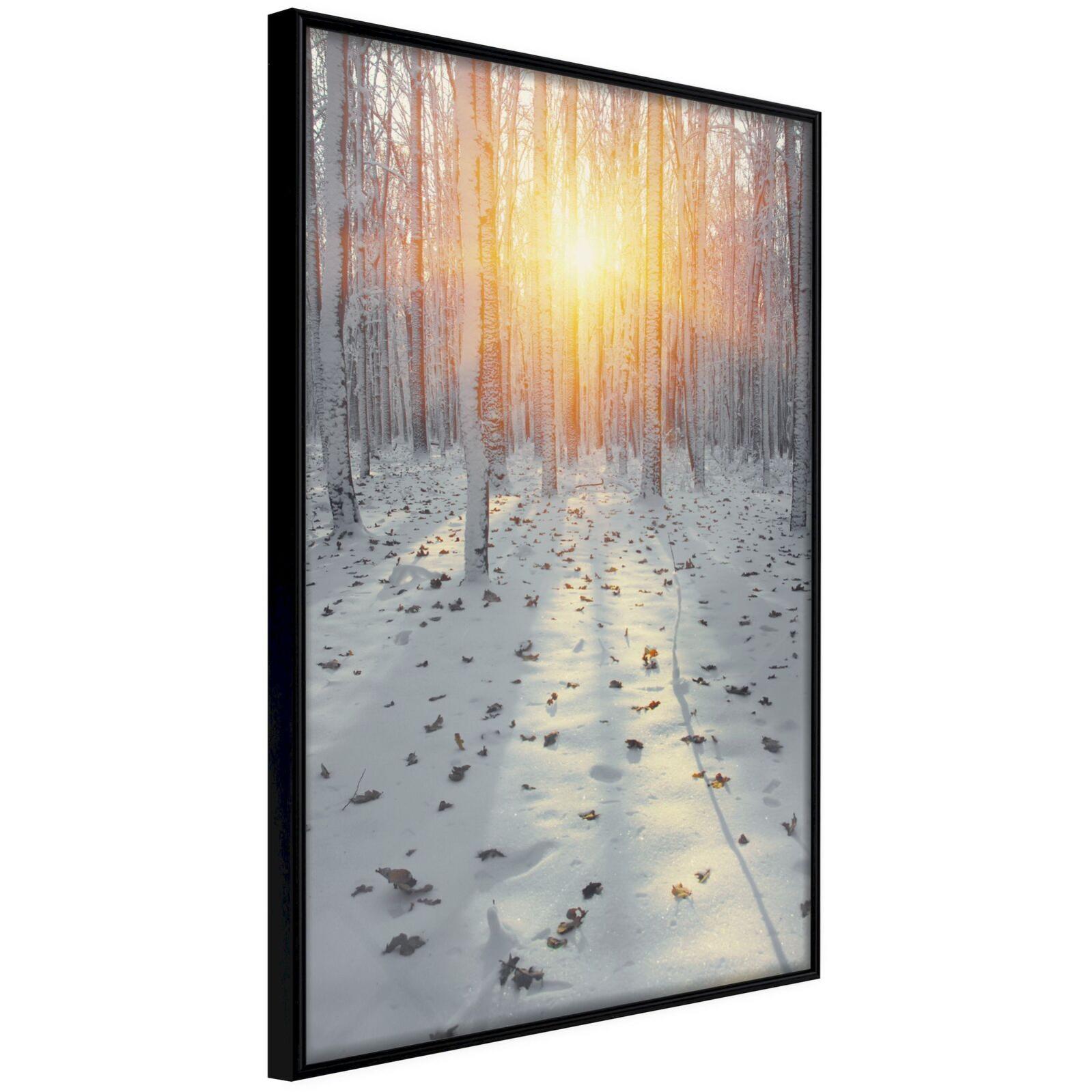 Tableau cadre Coucher de soleil givré - 40 x 60 cm | Leroy Merlin