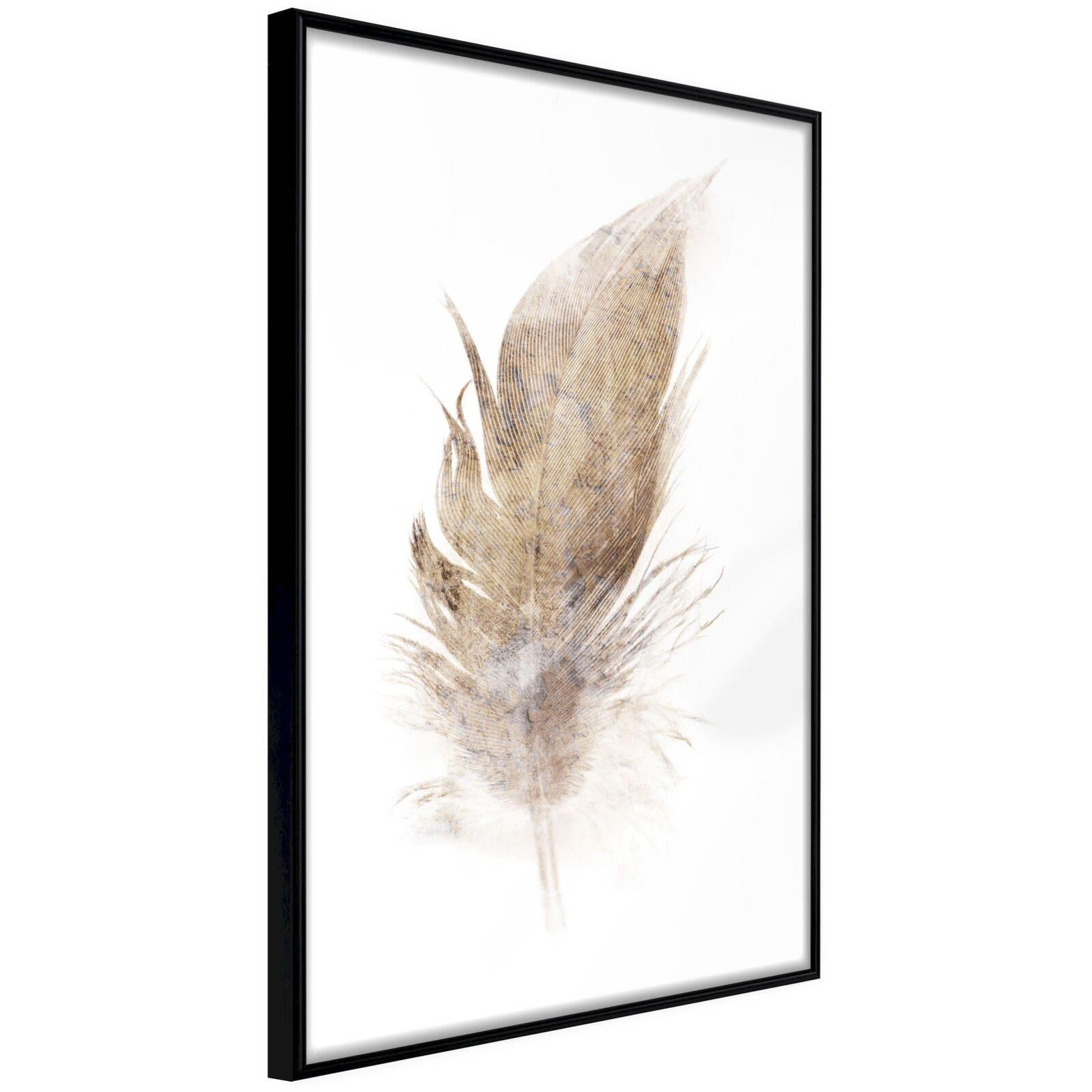 Tableau cadre Plume perdue - 40 x 60 cm | Leroy Merlin