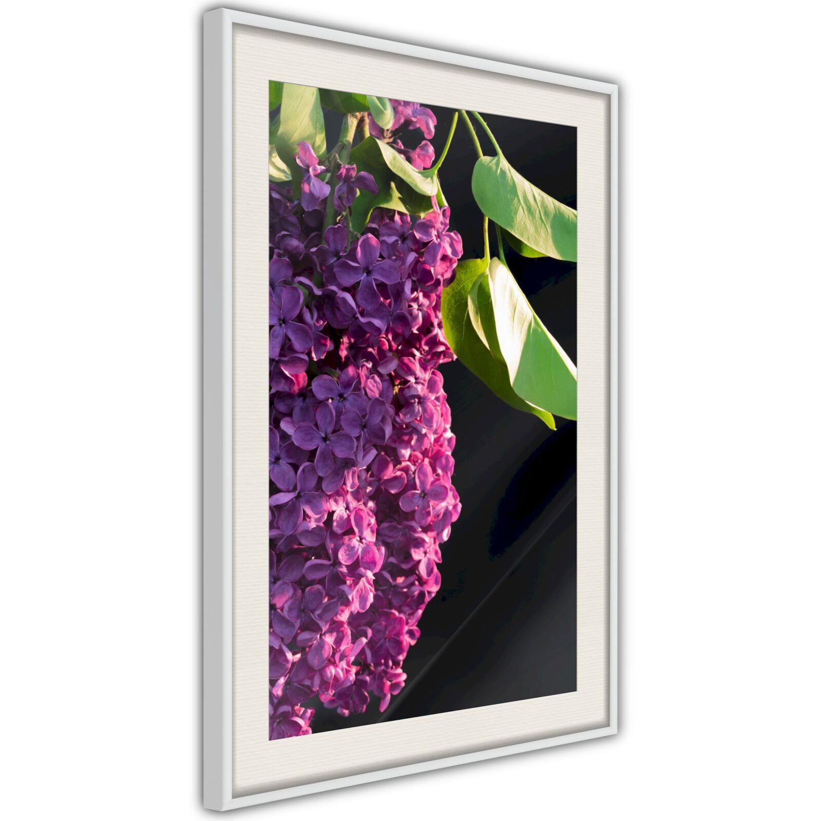 Tableau cadre Violet peut - 40 x 60 cm | Leroy Merlin