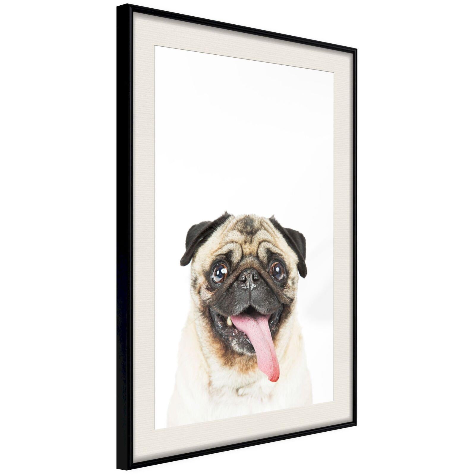 Tableau cadre Carlin drôle - 40 x 60 cm | Leroy Merlin
