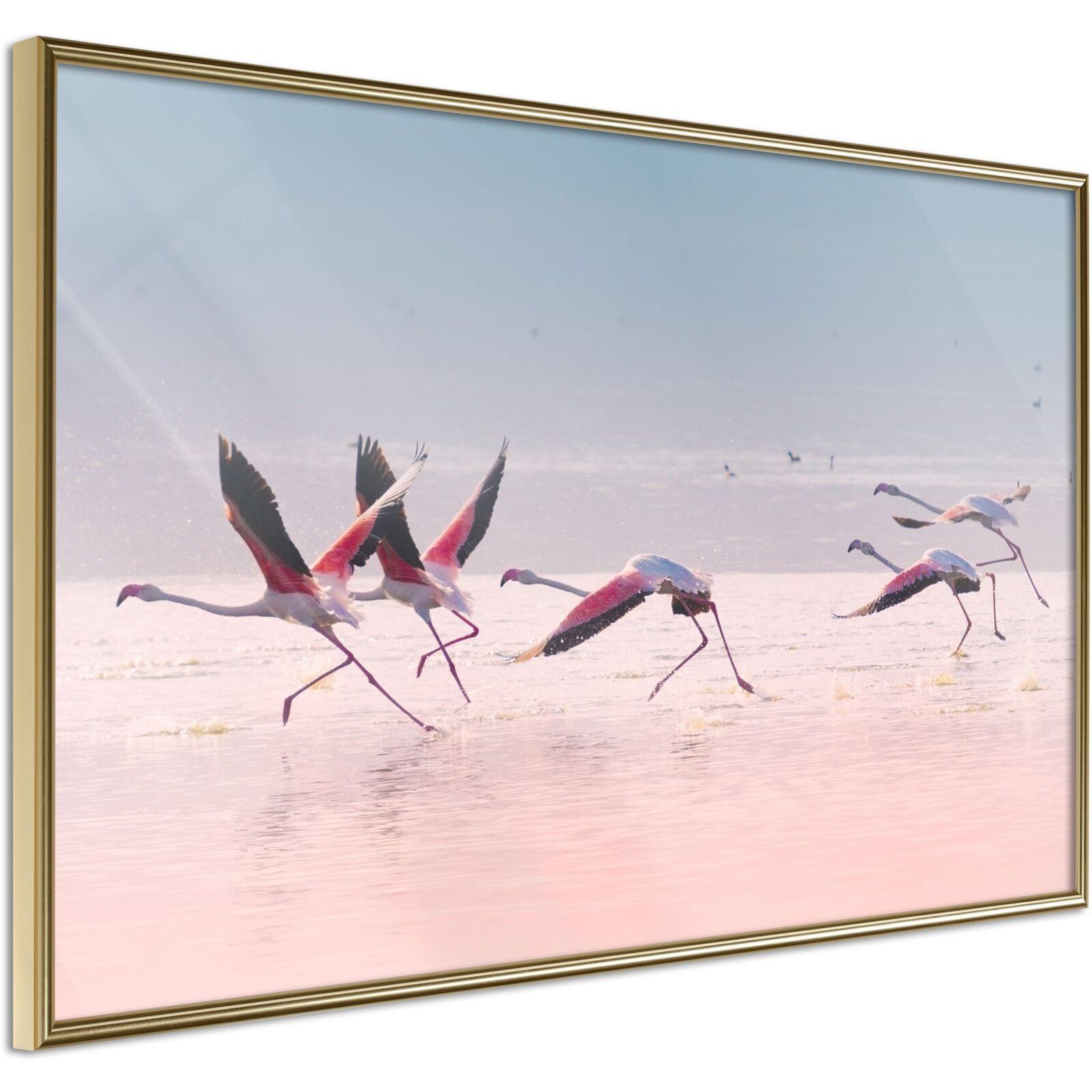 Tableau cadre Flamants qui se brisent dans un vol - 45 x 30 cm | Leroy ...