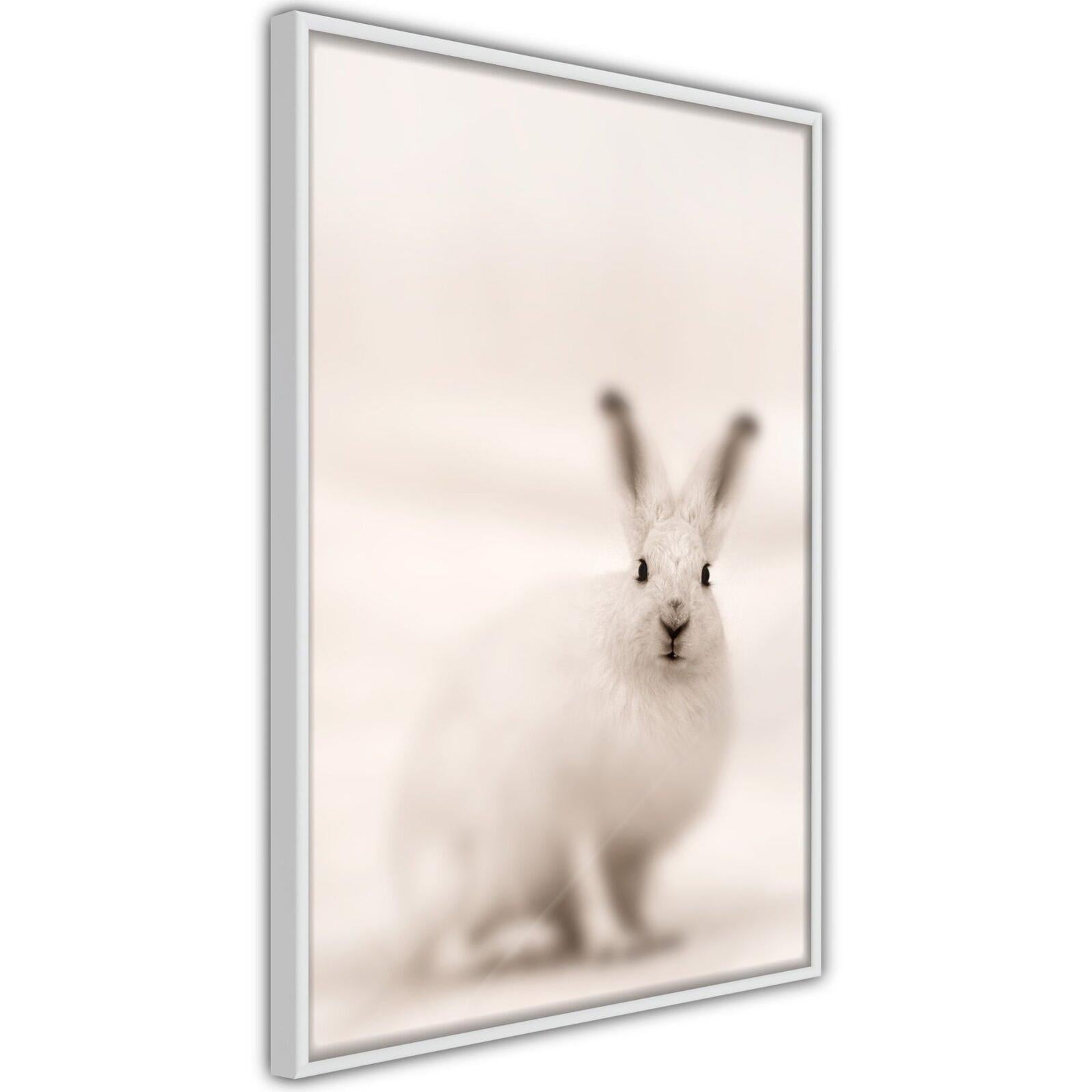 Tableau cadre Lapin curieux - 30 x 45 cm | Leroy Merlin