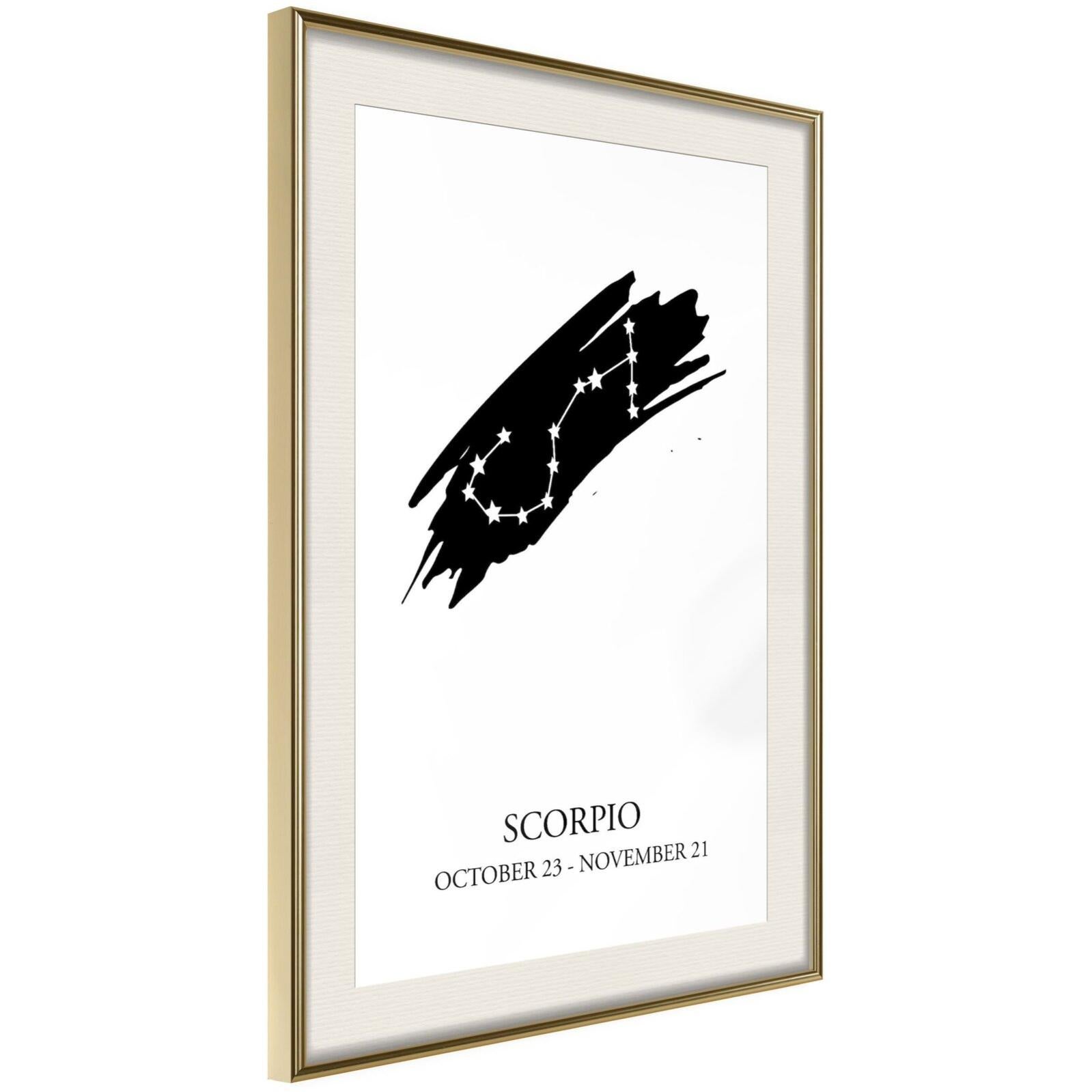 Tableau cadre Zodiaque : Scorpion I - 40 x 60 cm | Leroy Merlin