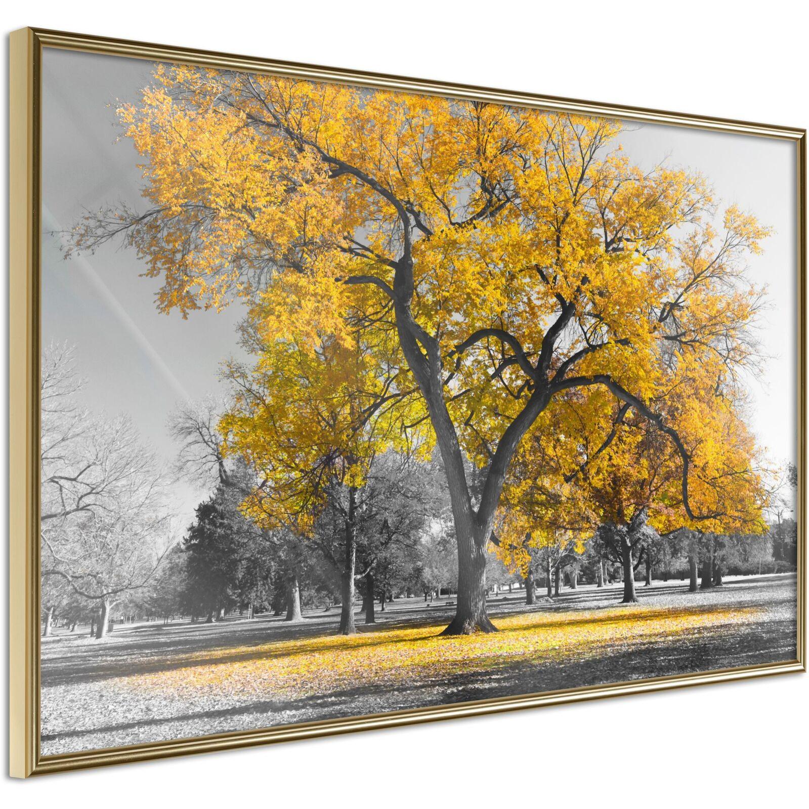 Tableau cadre Arbre d'or - 30 x 20 cm | Leroy Merlin