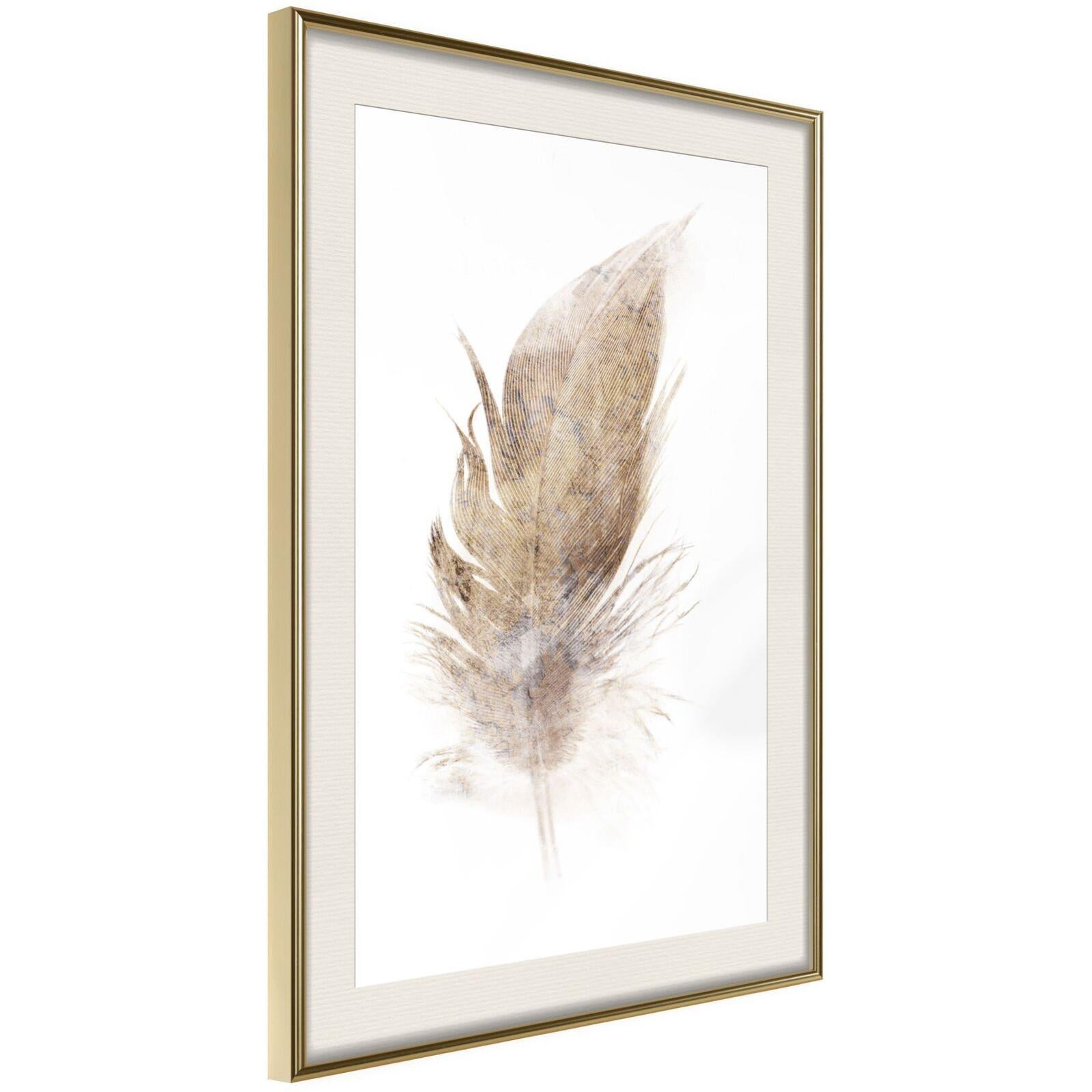 Tableau cadre Plume perdue - 20 x 30 cm | Leroy Merlin