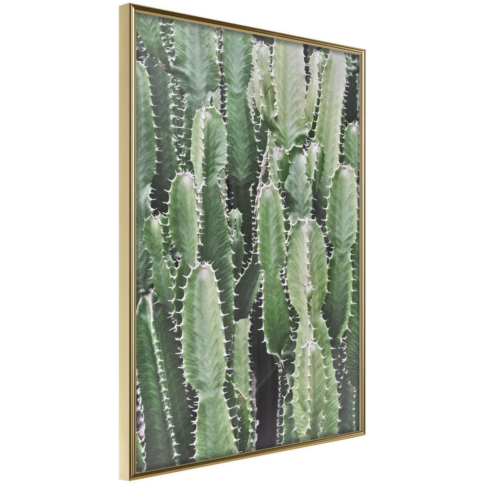Tableau cadre Plantation de cactus - 40 x 60 cm | Leroy Merlin