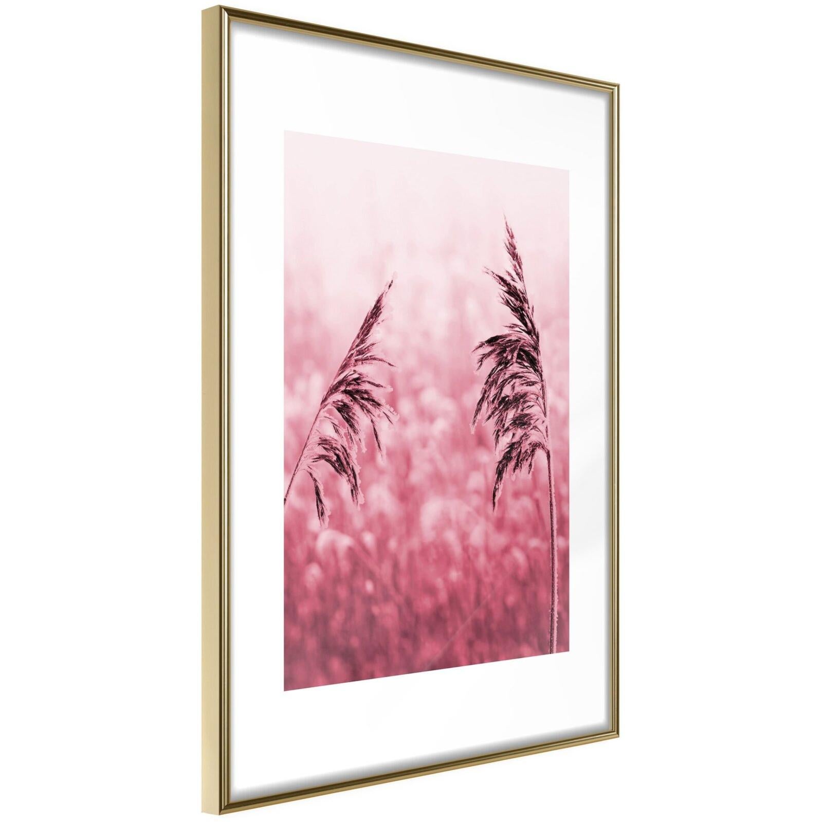 Tableau cadre Prairie d'amarante - 40 x 60 cm | Leroy Merlin