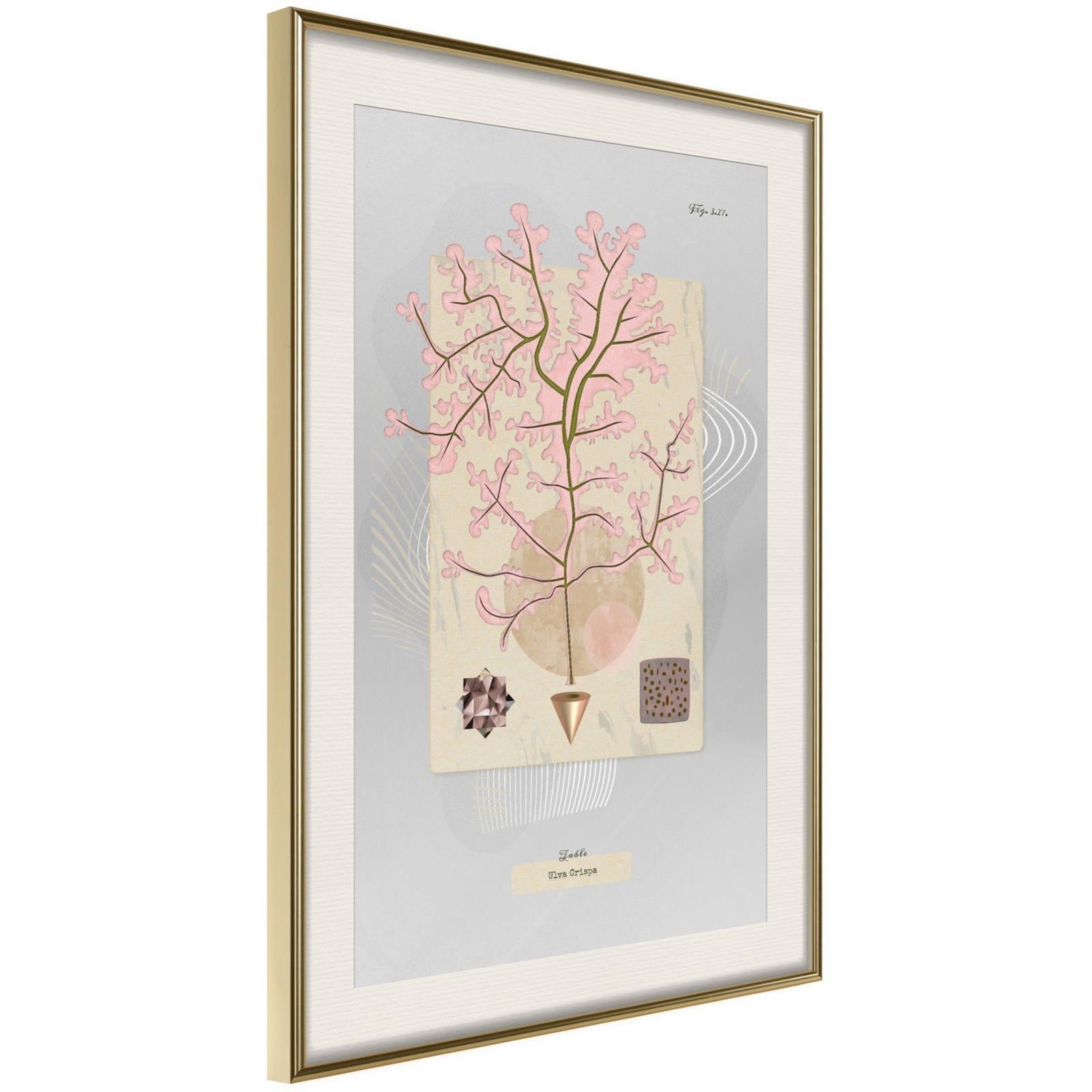 Tableau cadre Algue - 40 x 60 cm | Leroy Merlin