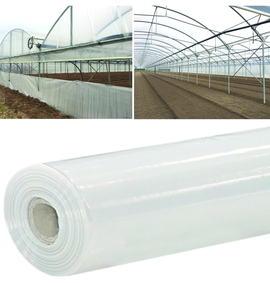 Foglia polietilene long life per coperture - mt.12 lunghezza mt.50 ...
