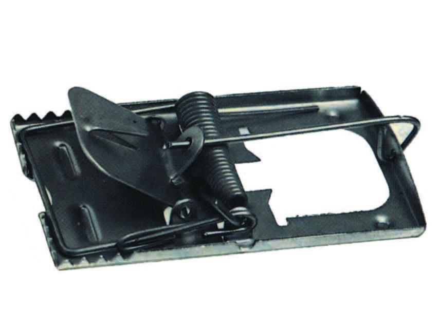 Trappole per topi in acciaio - piccole | Leroy Merlin