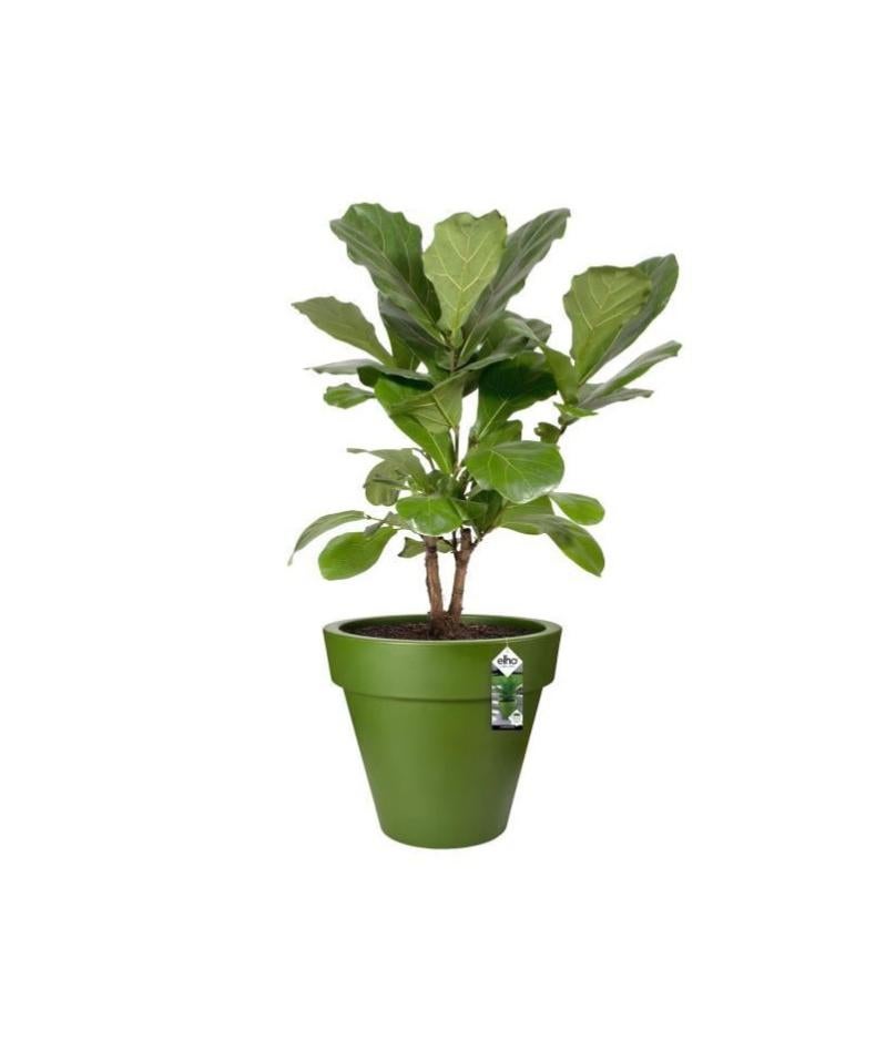 ELHO - Pot de fleurs - Pure Round Grass 50 - Vert Sportif - Intérieur ...