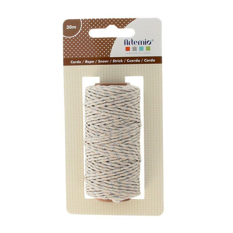 Corda d'argento 30m | Leroy Merlin