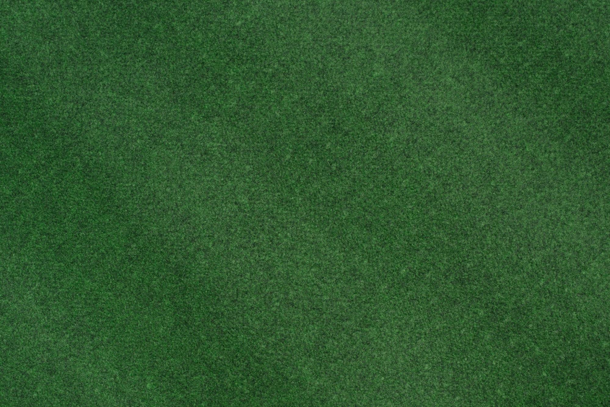 TAPISO Moquette Gazon Artificiel Magic Forest Dark Extérieur Vert ...