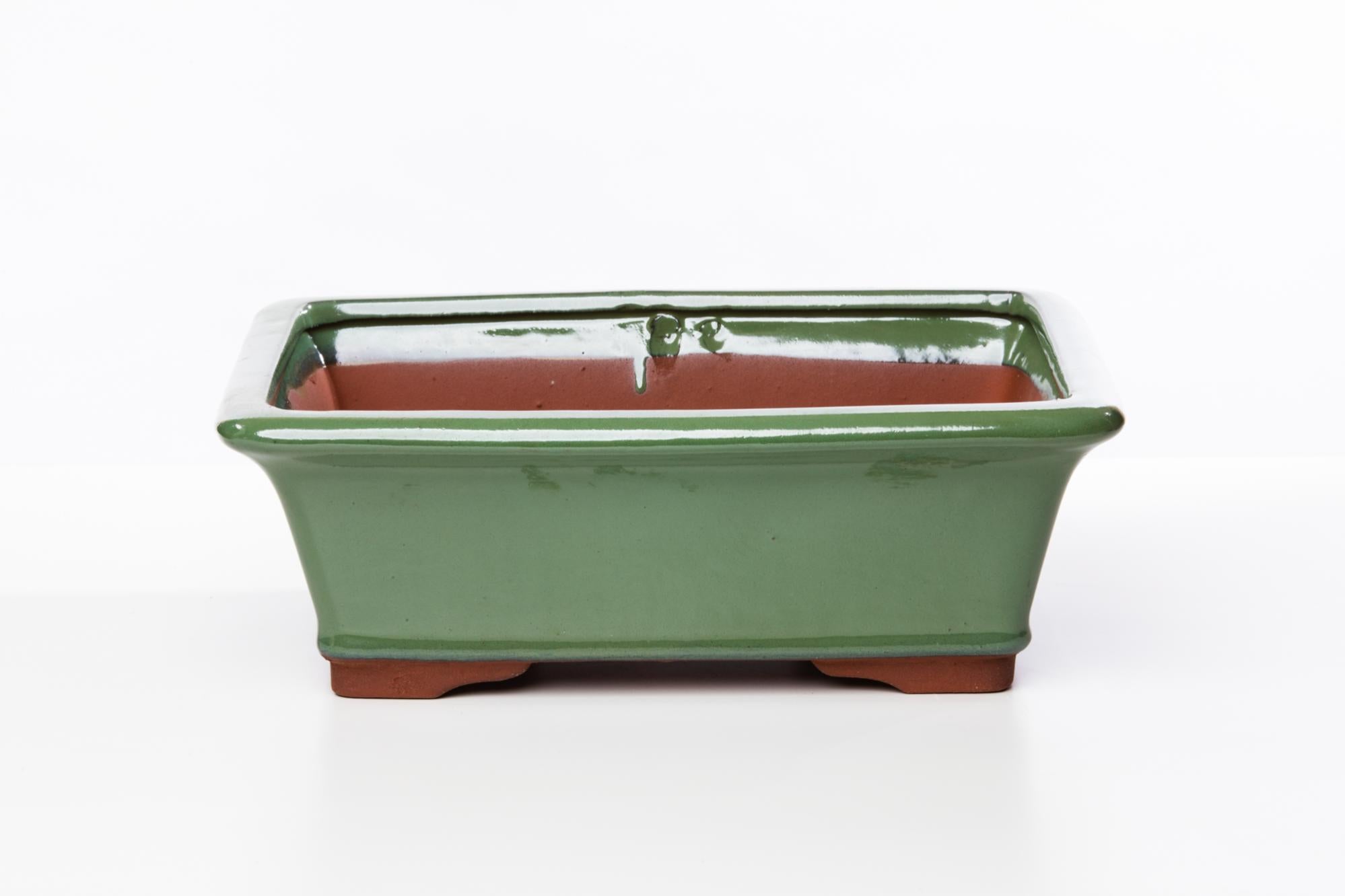Vaso bonsai smaltato rettangolare cm. 30 Verde pisello | Leroy Merlin
