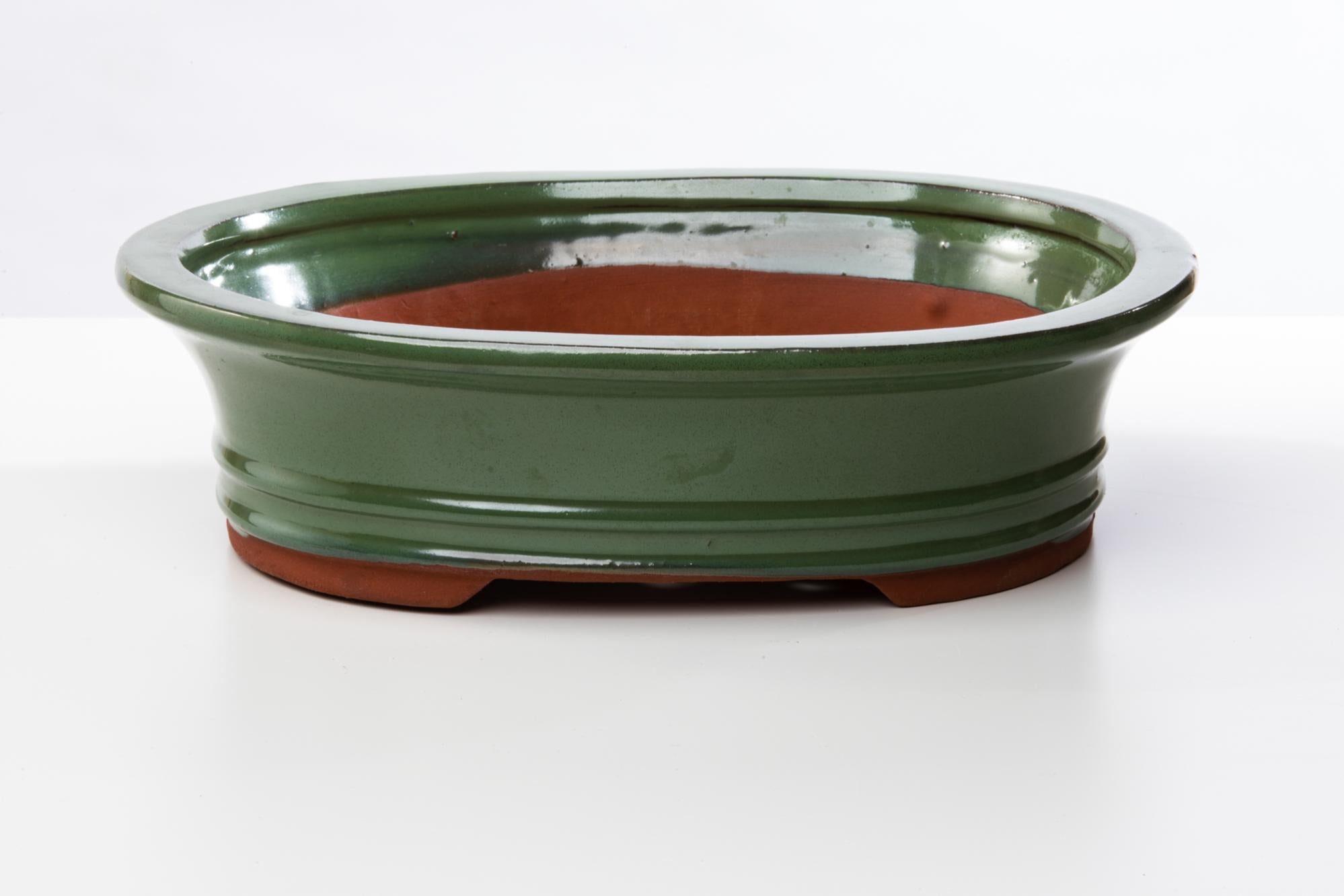 Vaso bonsai smaltato ovale cm. 30 Verde pisello | Leroy Merlin